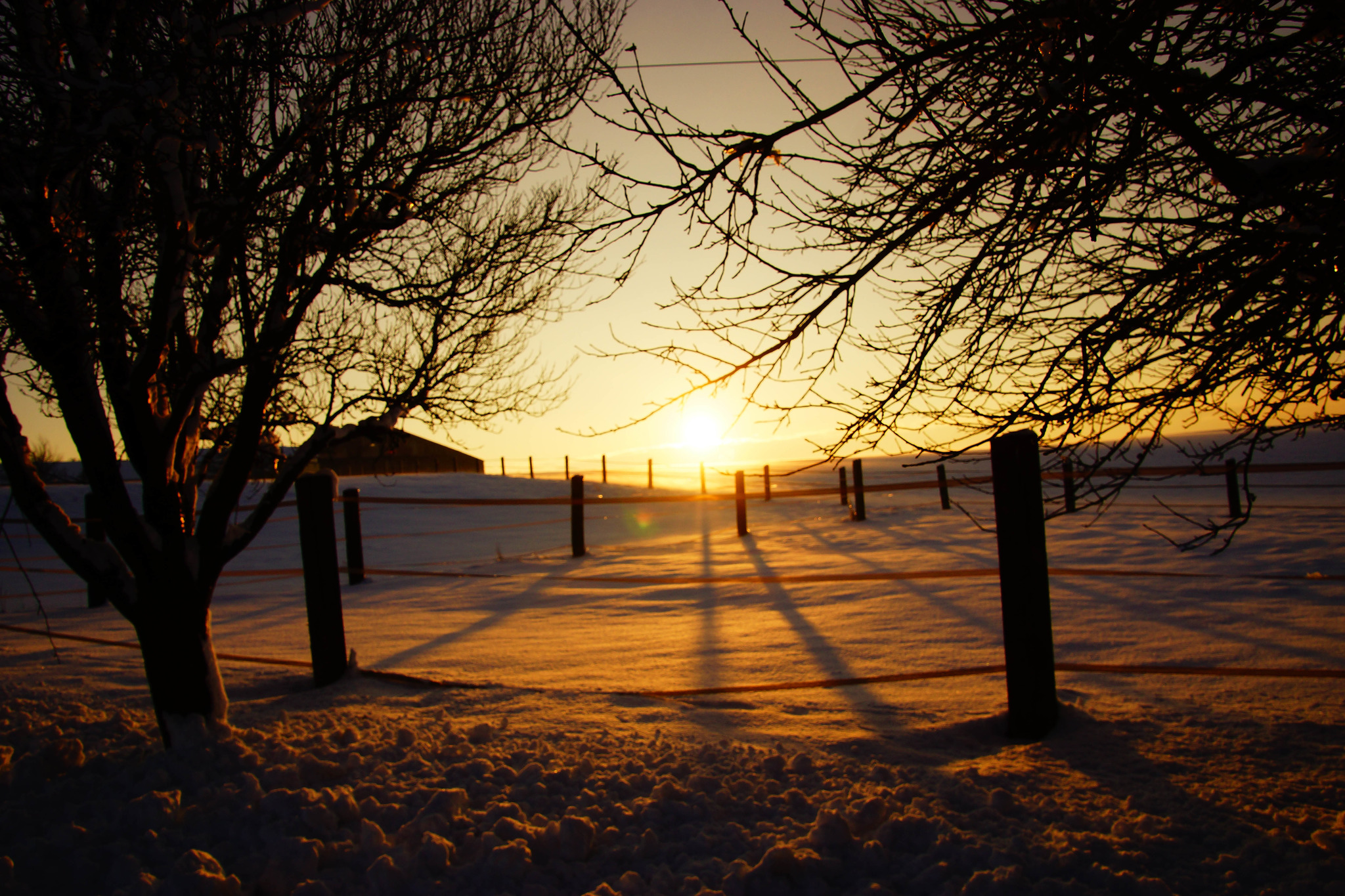 Winter Impressionen von Erla - Enns