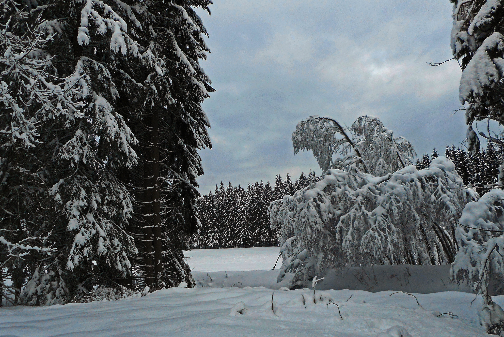 Wurzenpass - Villach Land