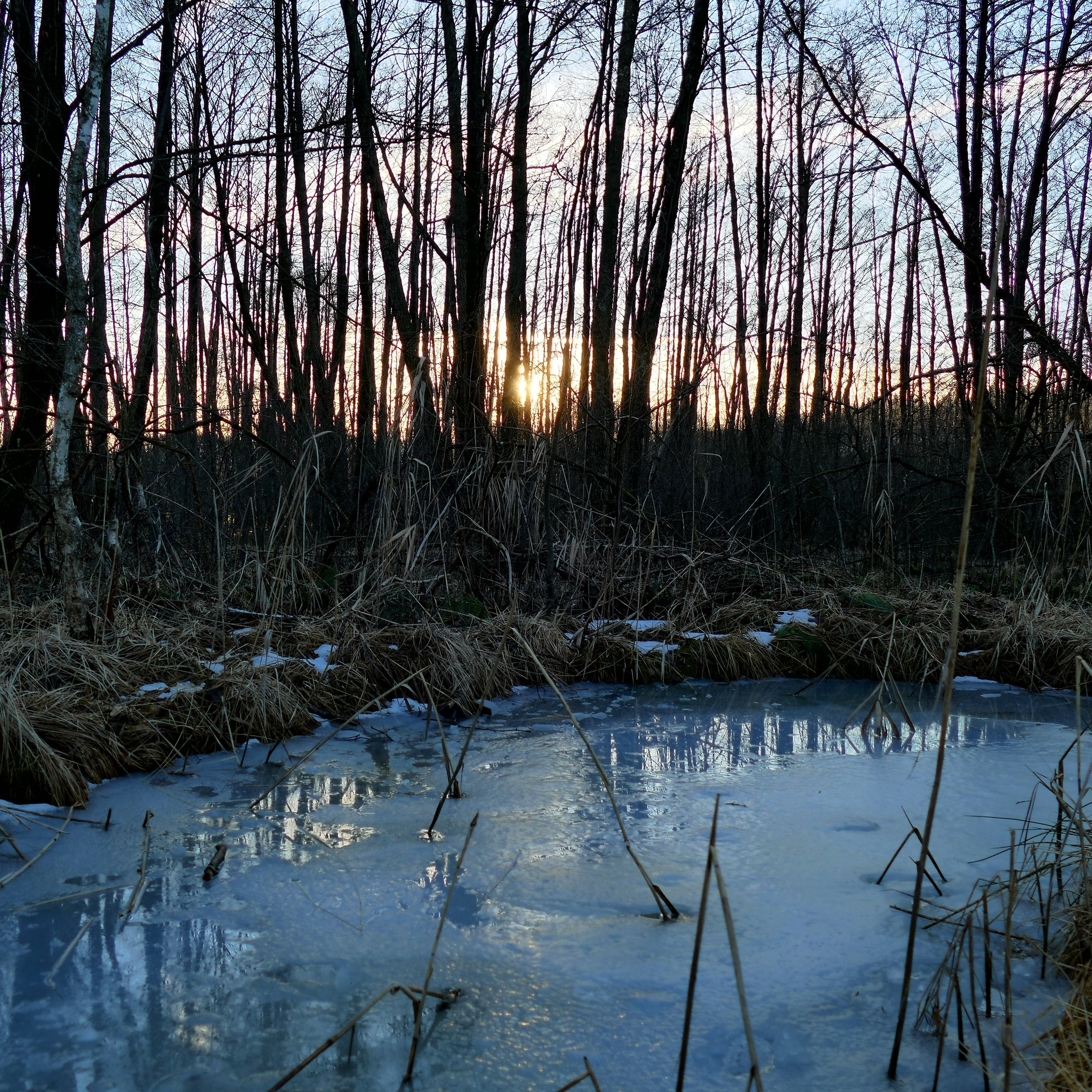 Silvesterspaziergang Naturerlebnisweg Obertrum - Flachgau