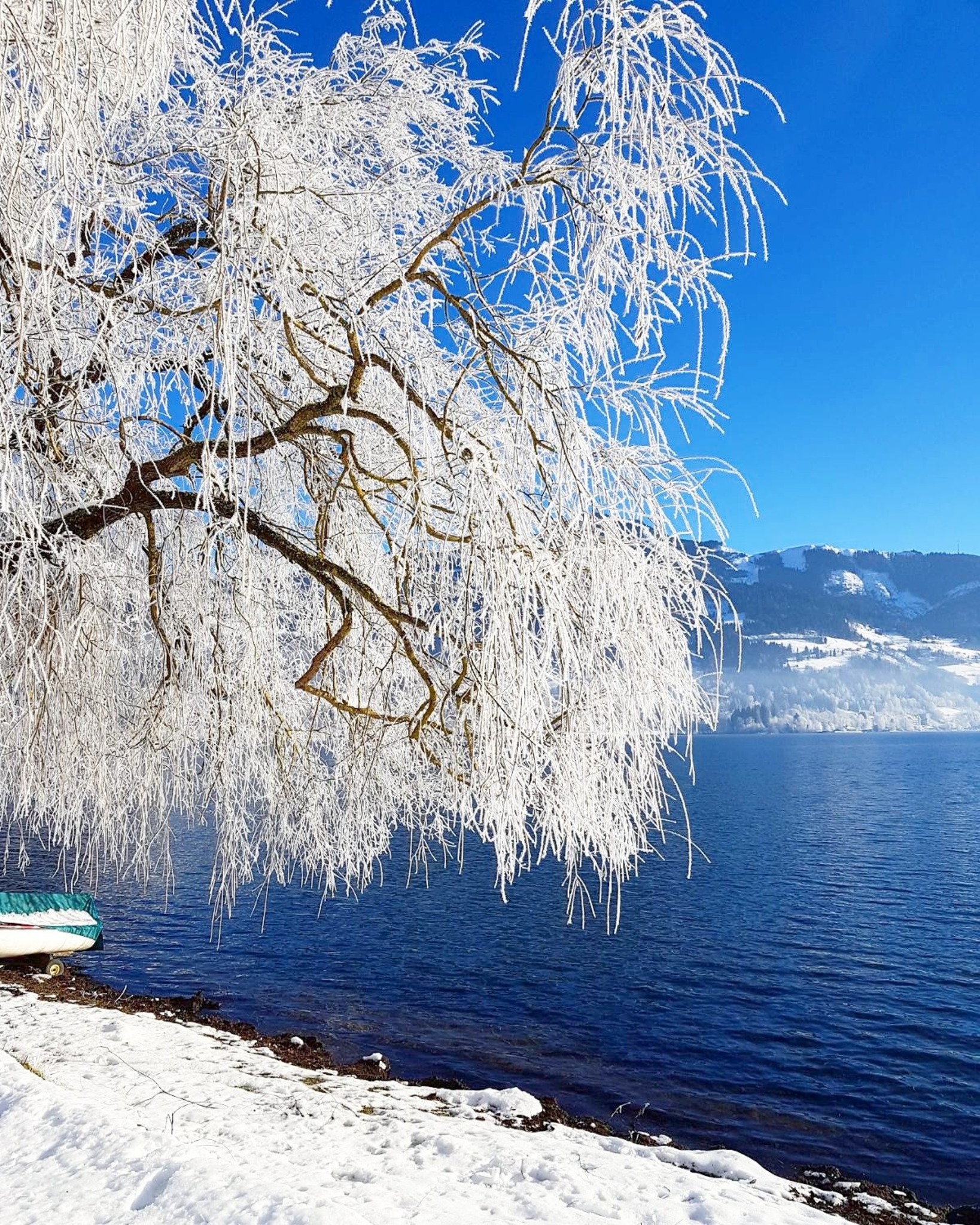 Kitschig schön am Zeller See - Pinzgau