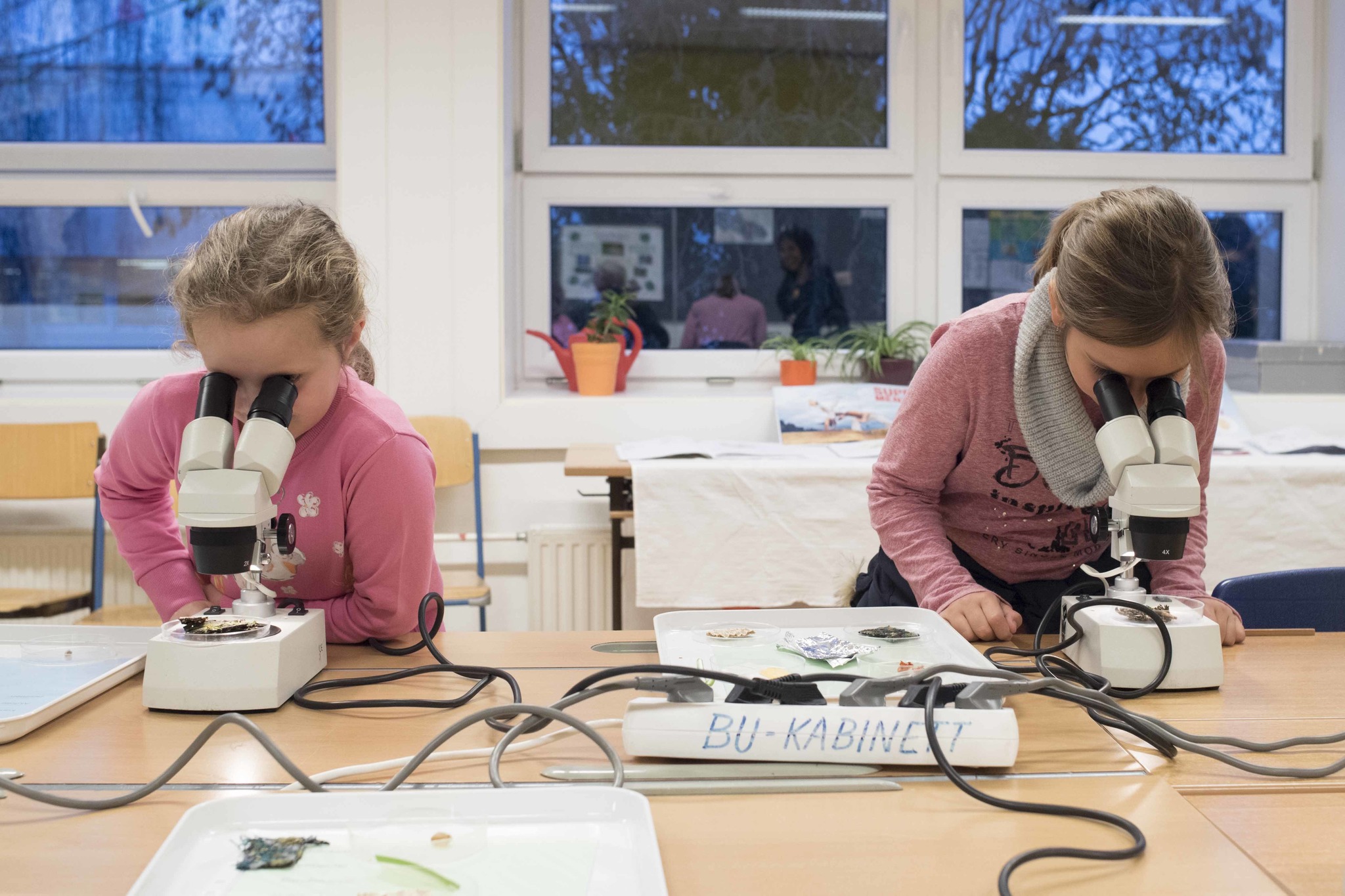 Ein gut besuchter Tag - NMS 1 lud ein - Ried