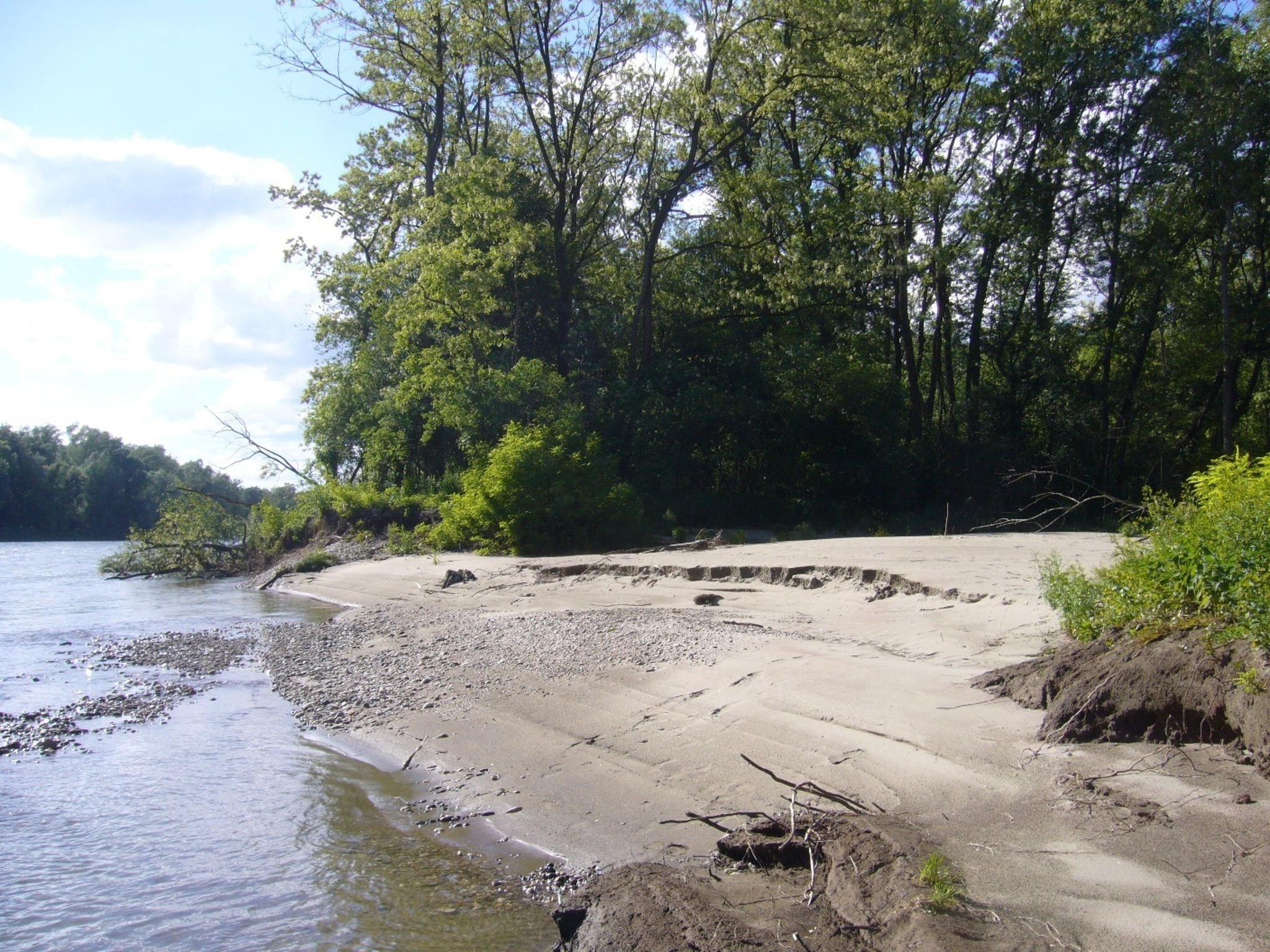 Expertenstudien als Chance für die Mur - Südoststeiermark