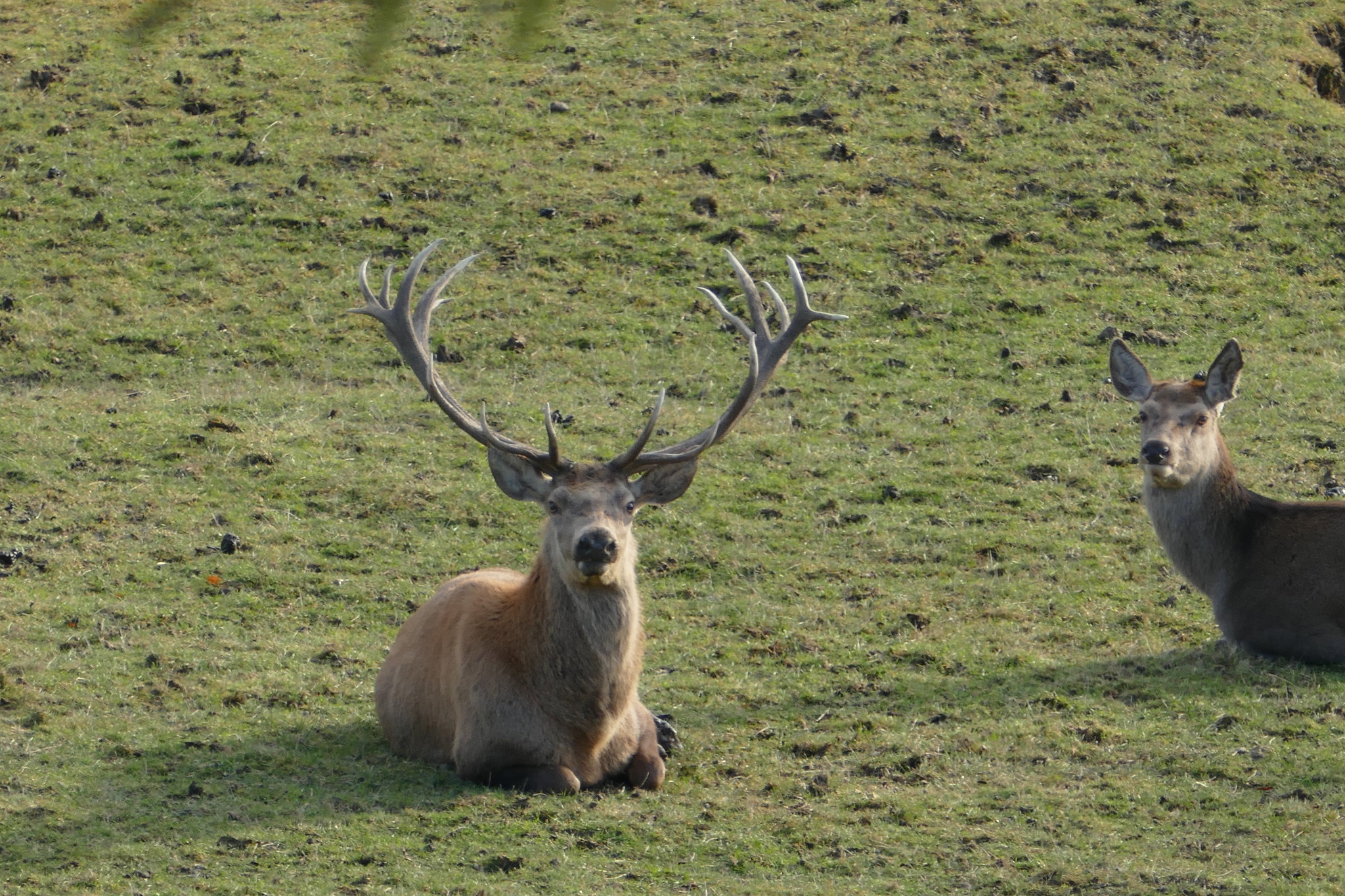 Ganz gemütlich in den Tag starten - Flachgau