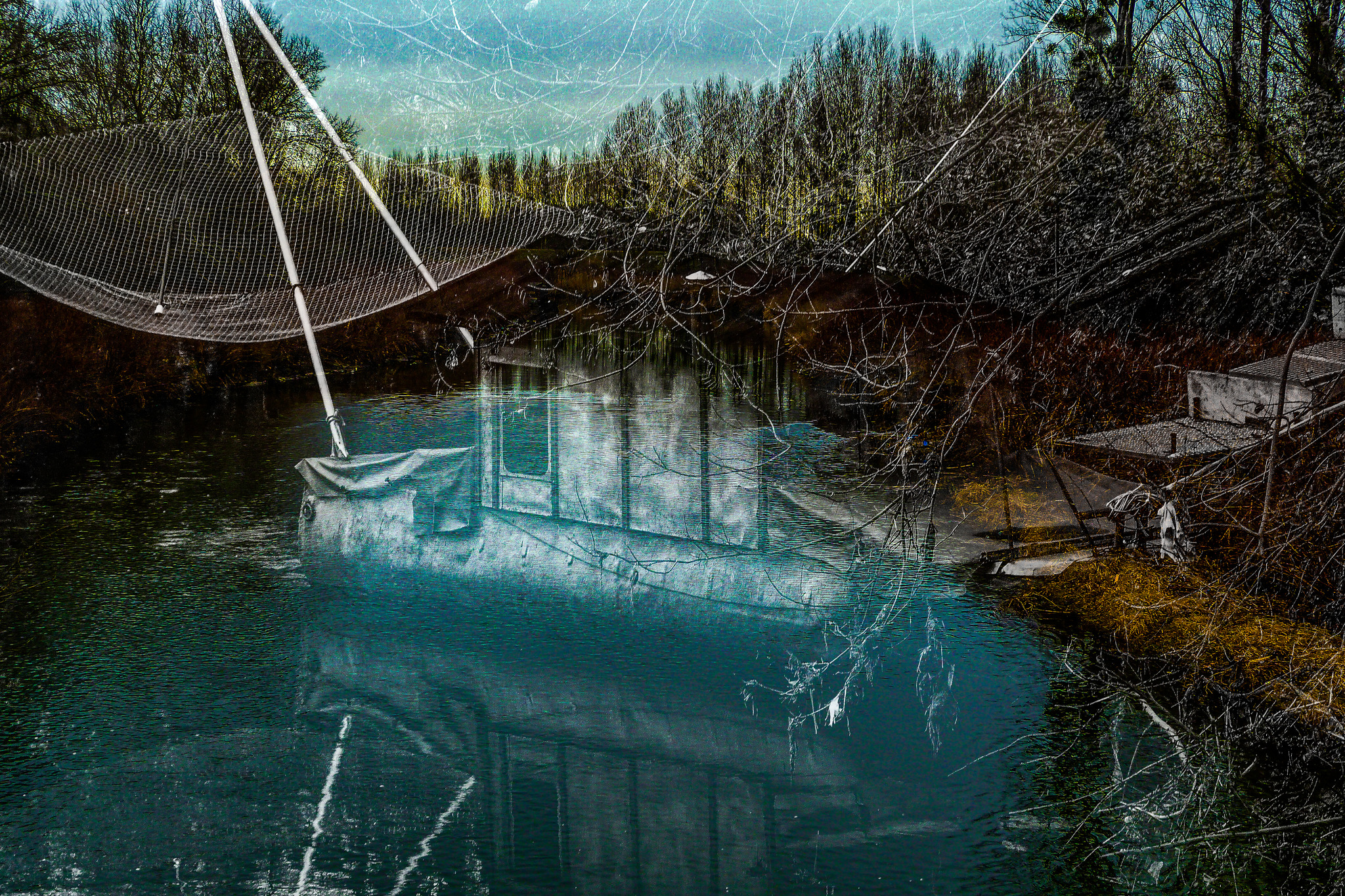 Leben am Fluss...... - Schwechat