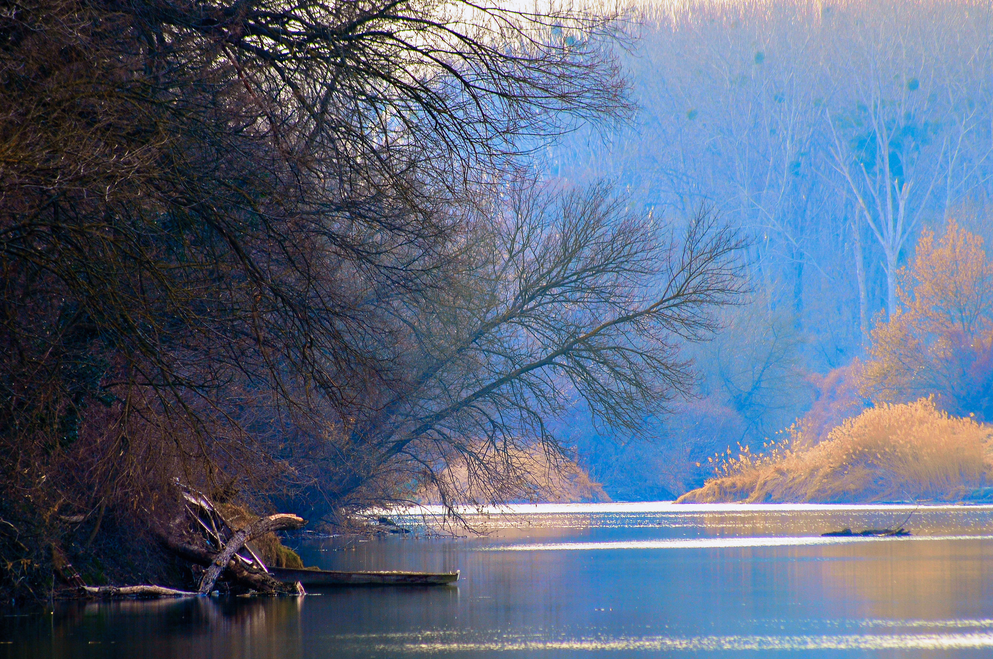 Die Lobau........... meine Leidenschaft !! - Schwechat