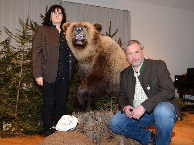 Meister Petz wohnt jetzt in der Musikschule - Gailtal