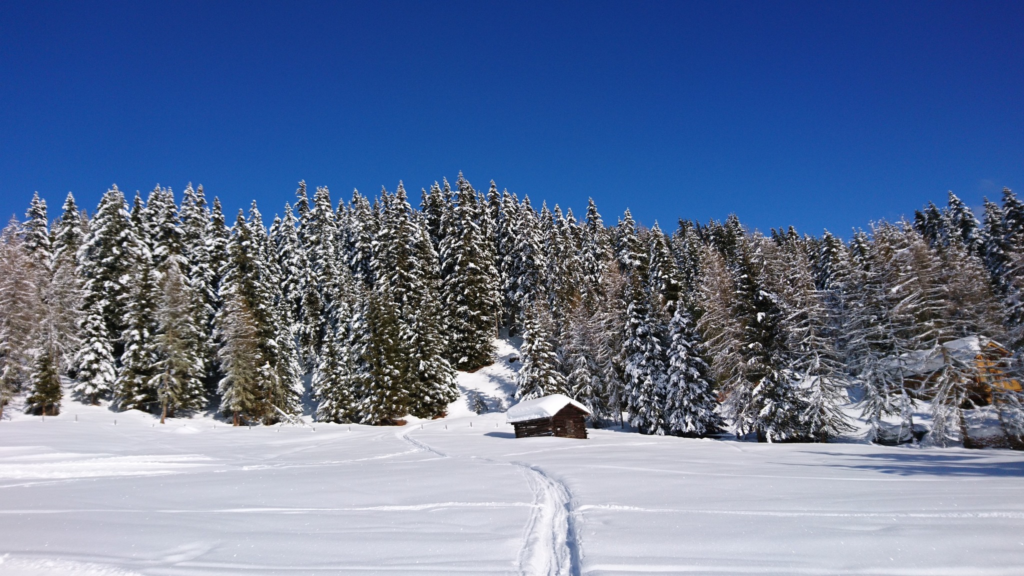 ***Winterliche Grüße*** - Osttirol