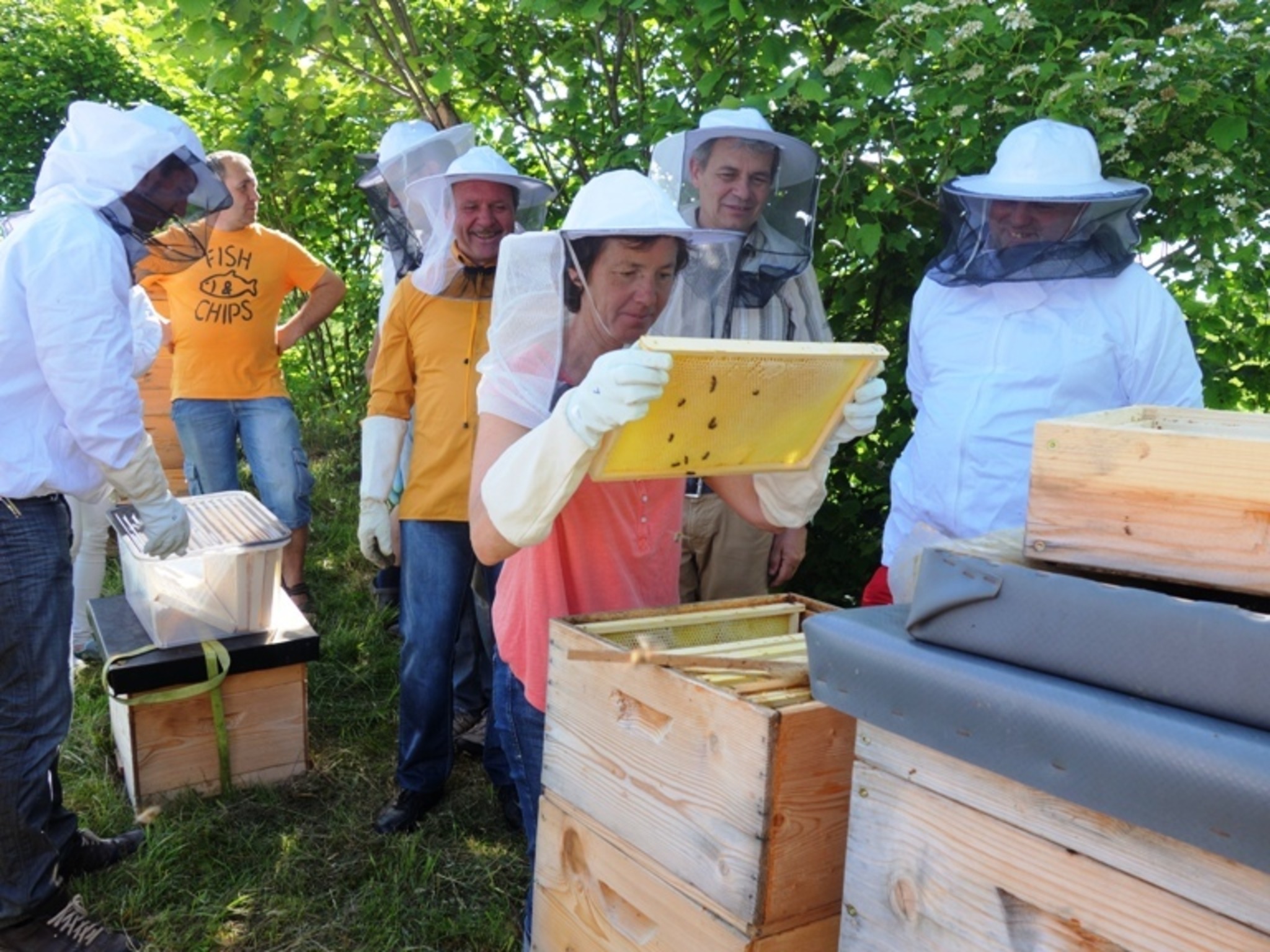 Imkern leicht gemacht - Praxiskurs! Praxisnahe Ausbildung zum/r Imker ...