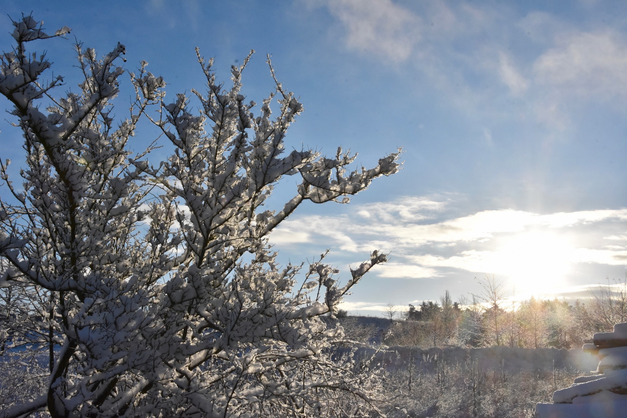 WINTERZAUBER! - Horn