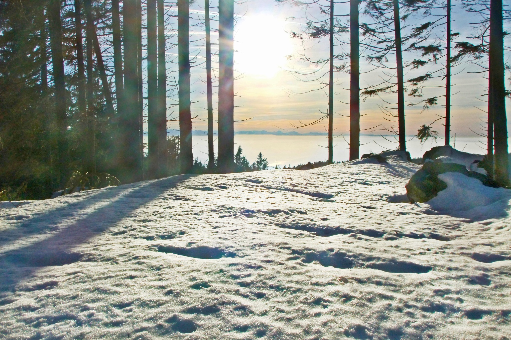 Winterimpressionen - Urfahr-Umgebung