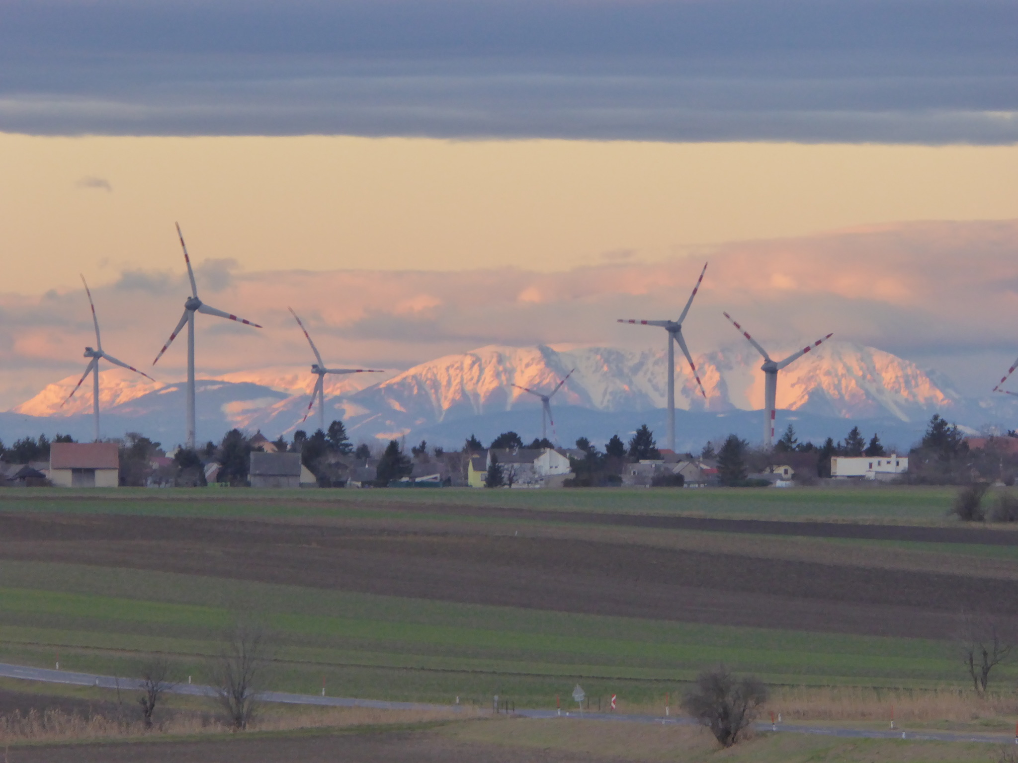 Weiter Ausblick von der Kellergasse Prellenkirchen - Bruck an der Leitha