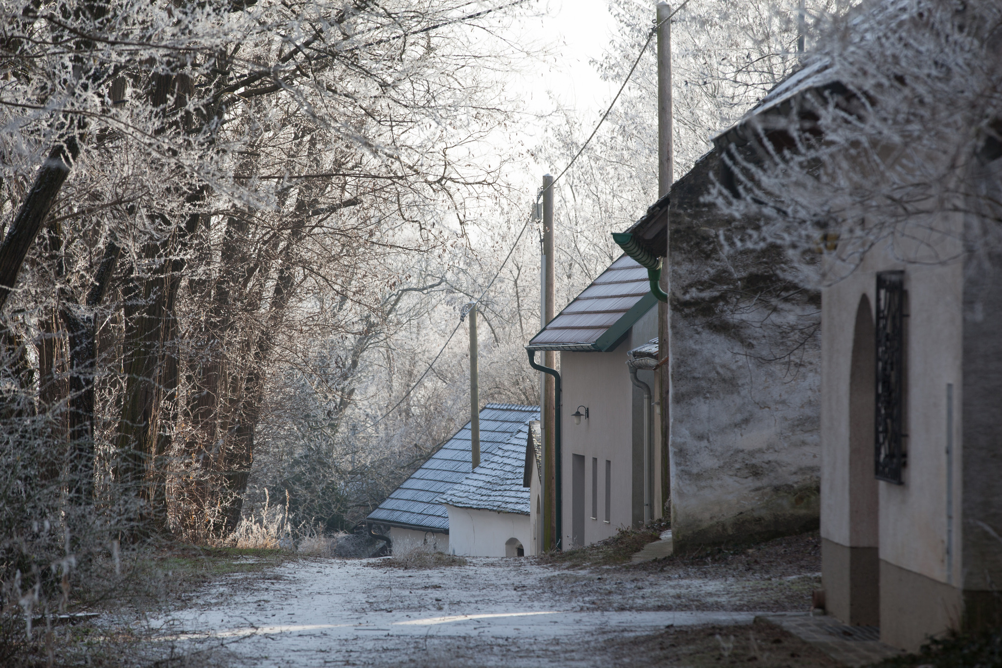 Kellergasse "Untere Trift" in Tresdorf - Korneuburg