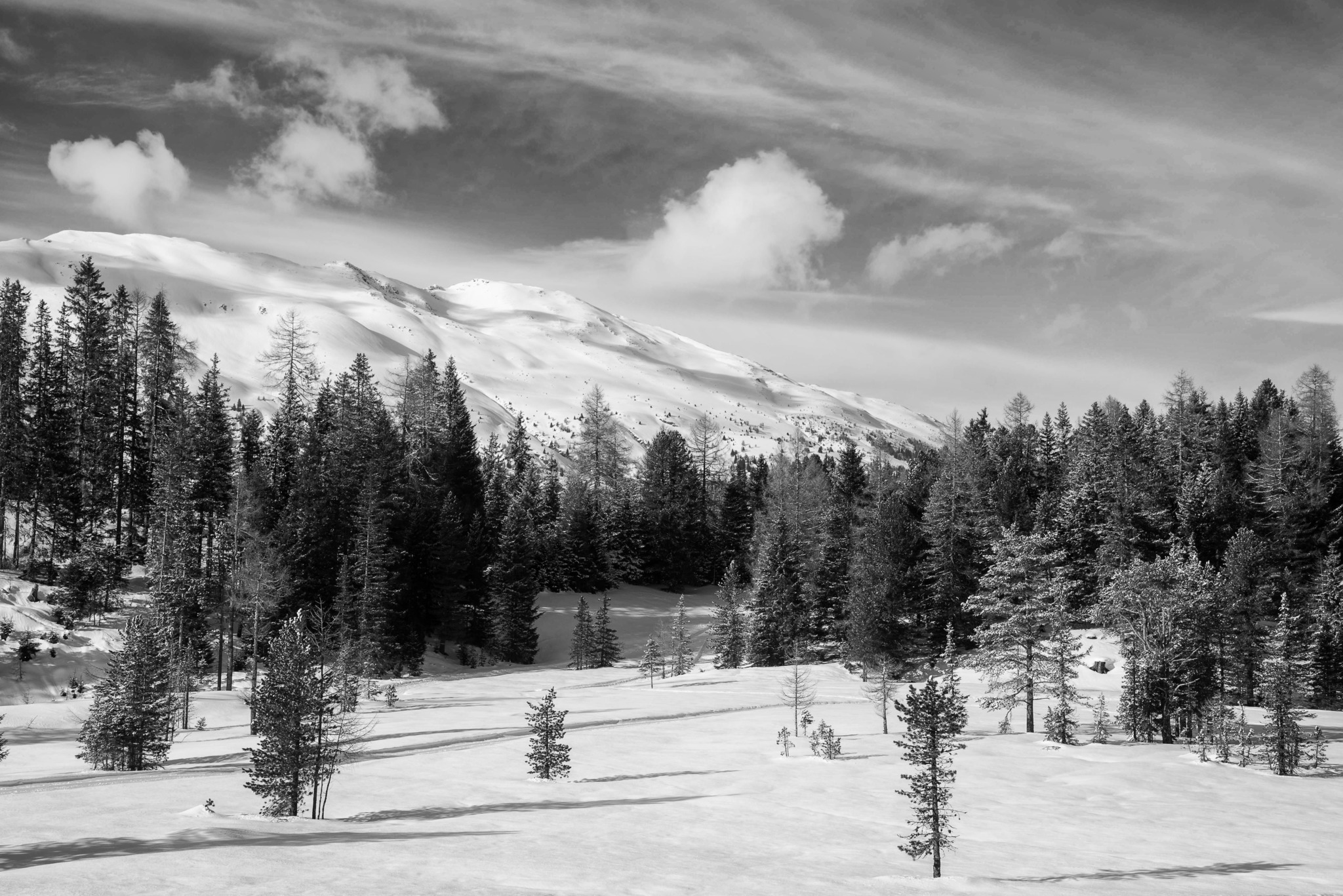 Vorgestern auf der Harbe! - Imst