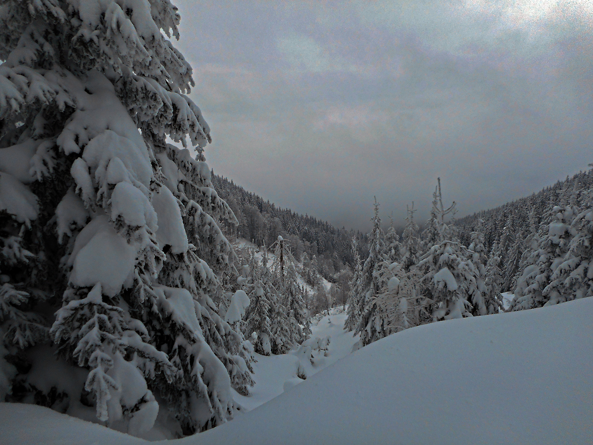 Wurzenpass - Villach Land