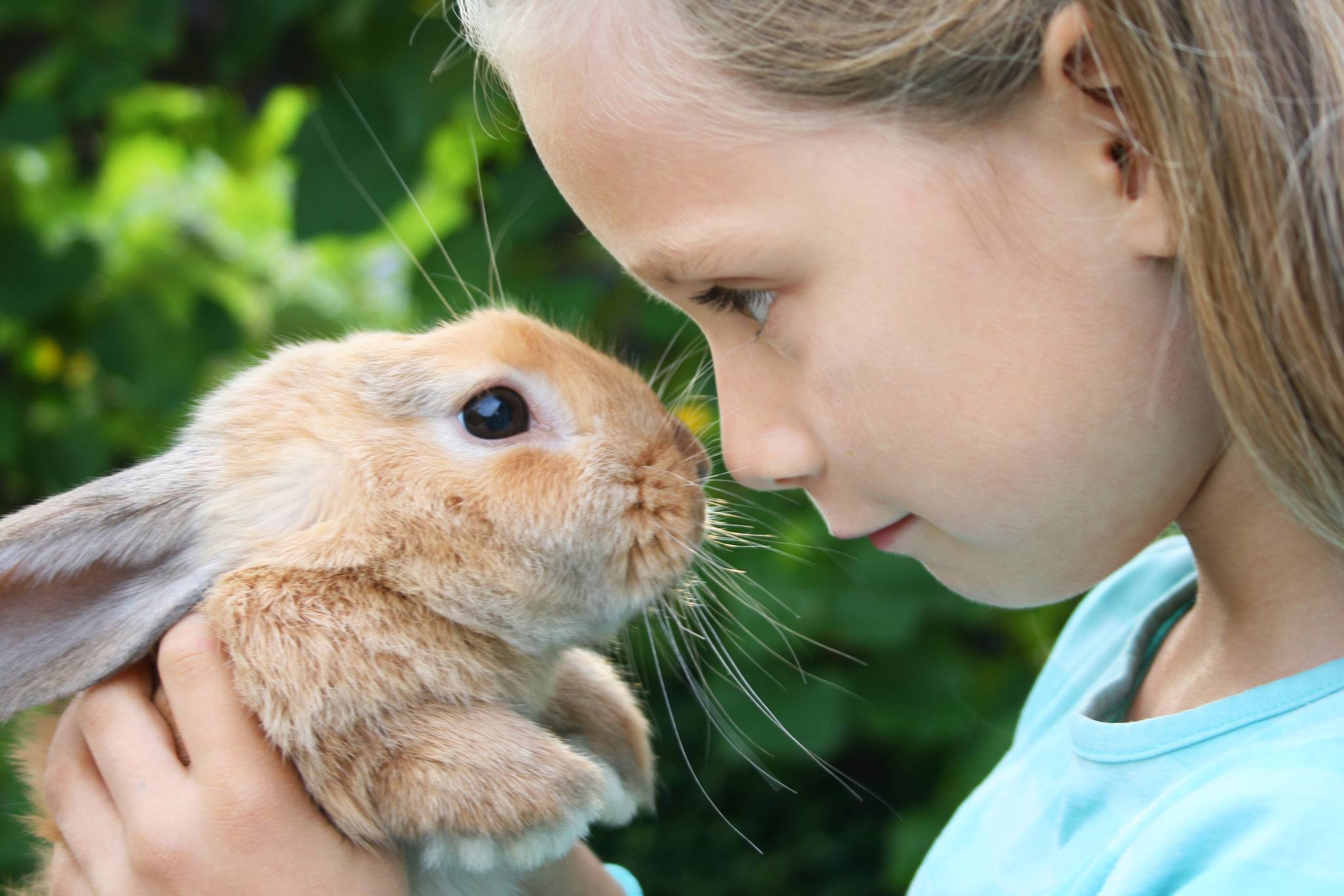 20. Februar: Liebe-Dein-Haustier-Tag - Linz-Land