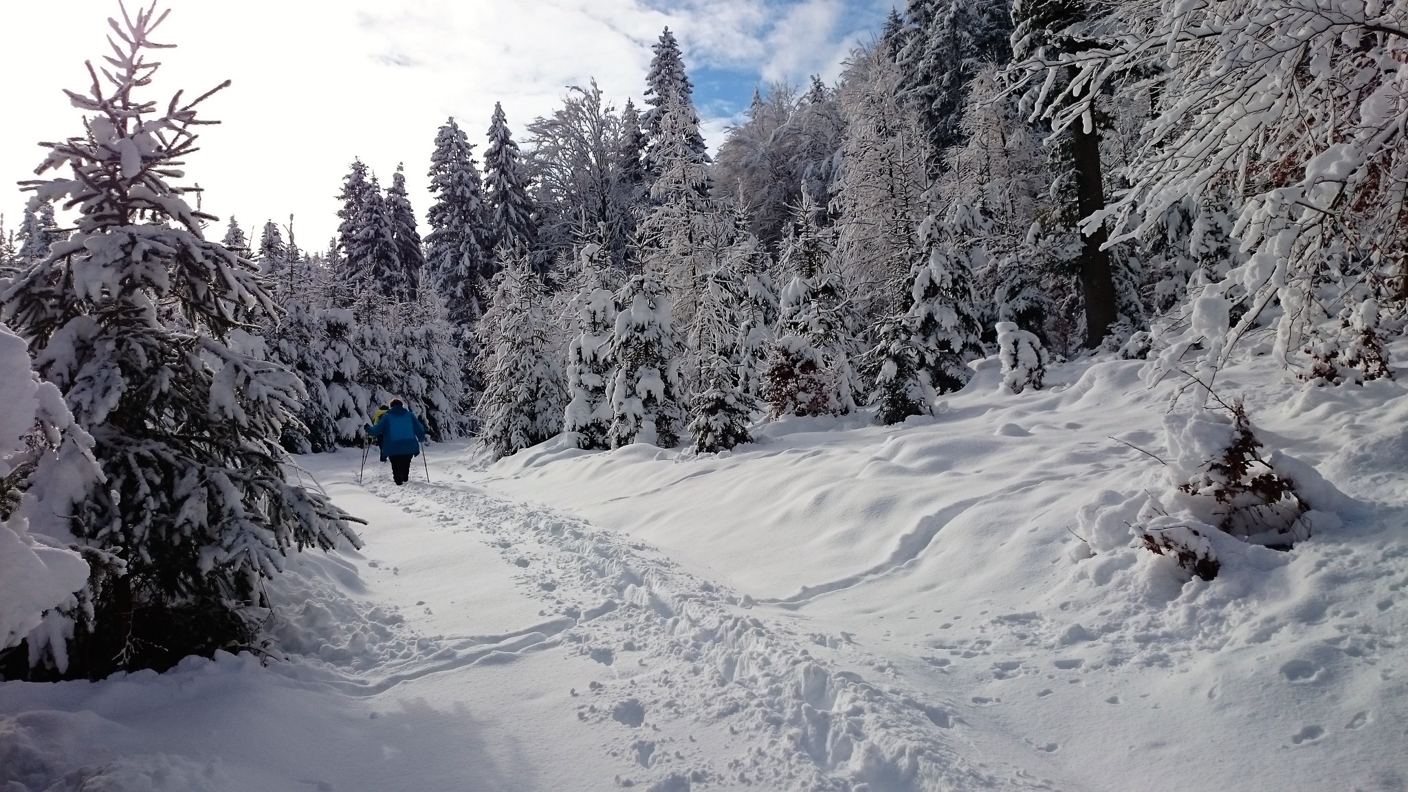 Schneewanderung - Klagenfurt