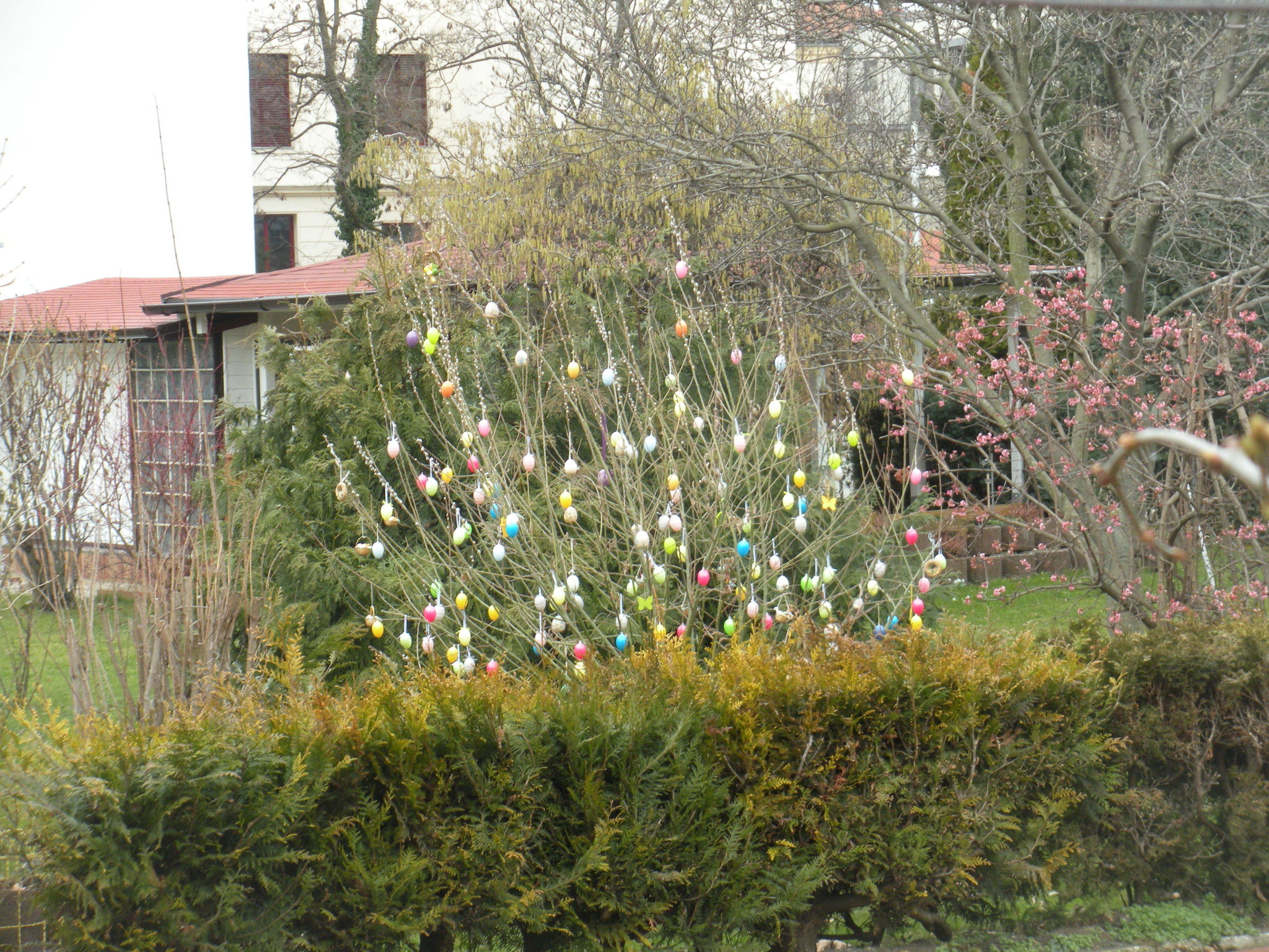 Der erste Osterstrauch in Simmering! - Simmering