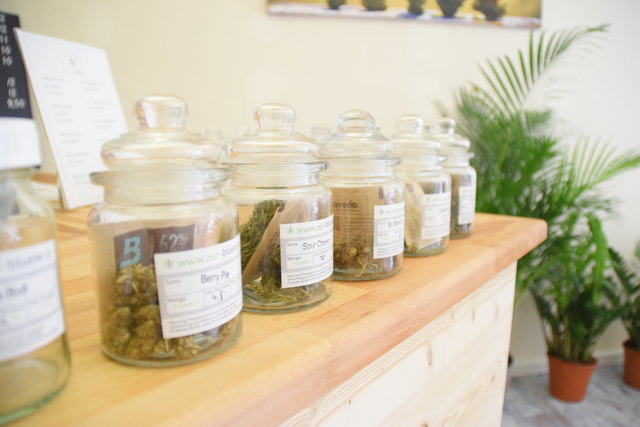 Weil Hanf viel mehr kann - Schwaz