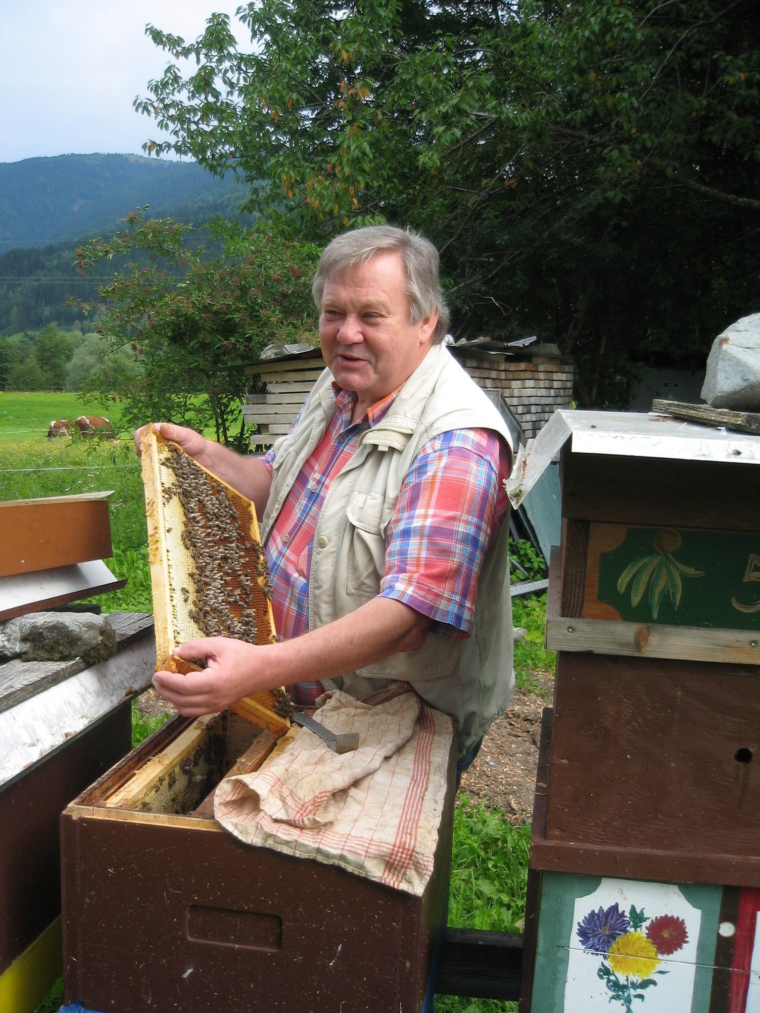 Bienenzucht boomt im Gailtal seit Jahren - Villach Land