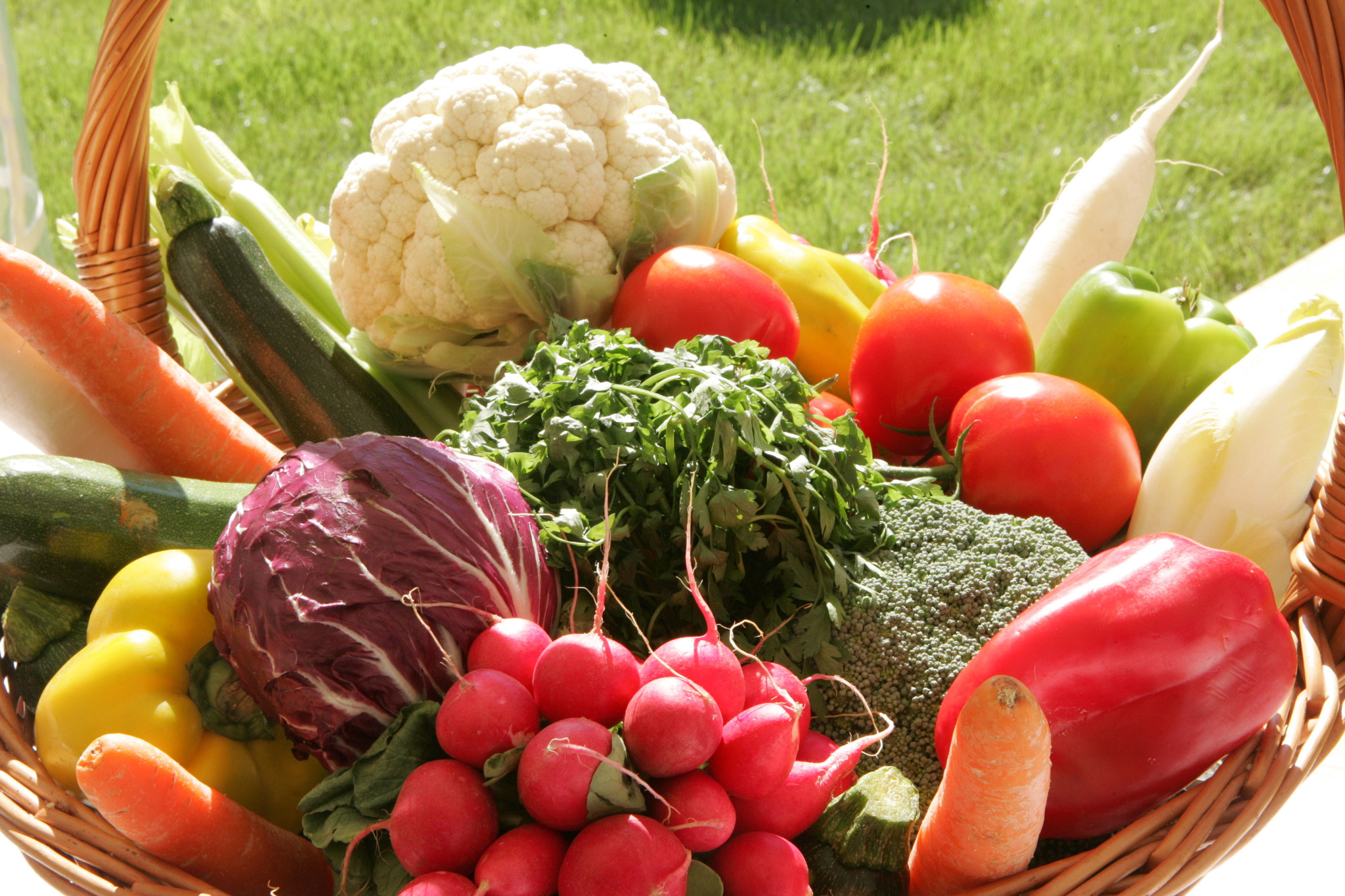 Frisches Essen für Schüler? - Salzburg-Stadt