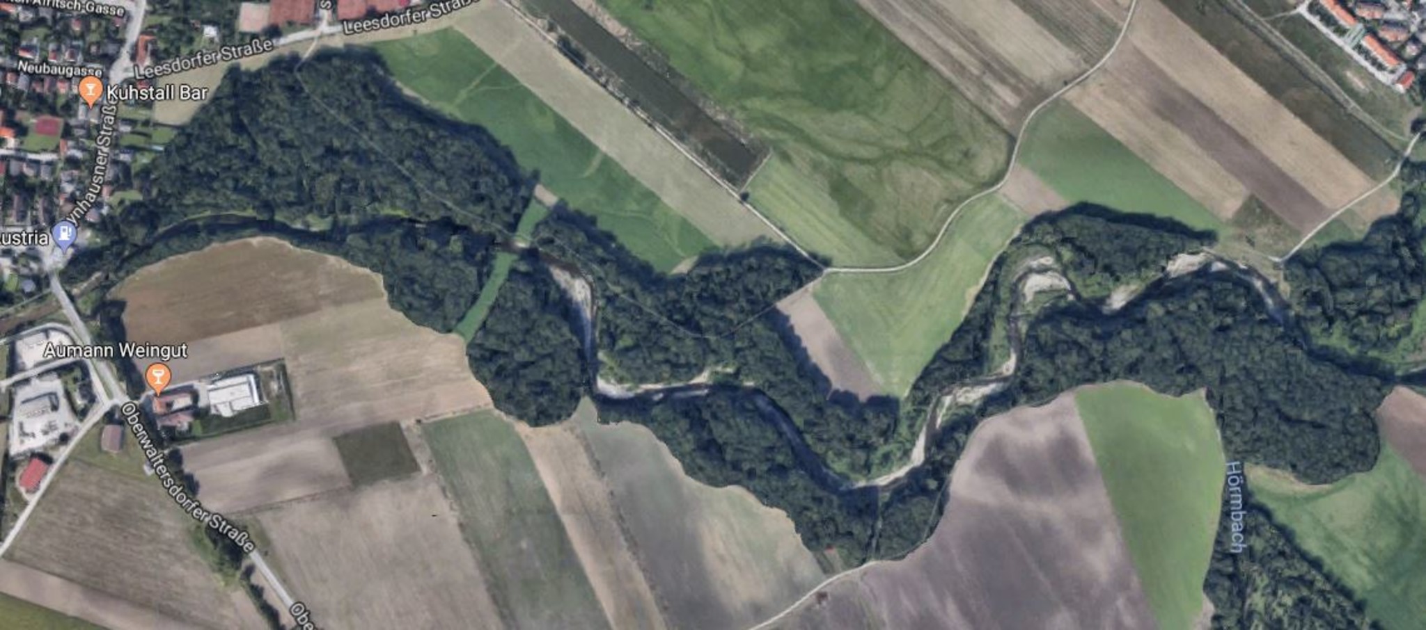 Geführte Wanderung an der Schwechat - Baden