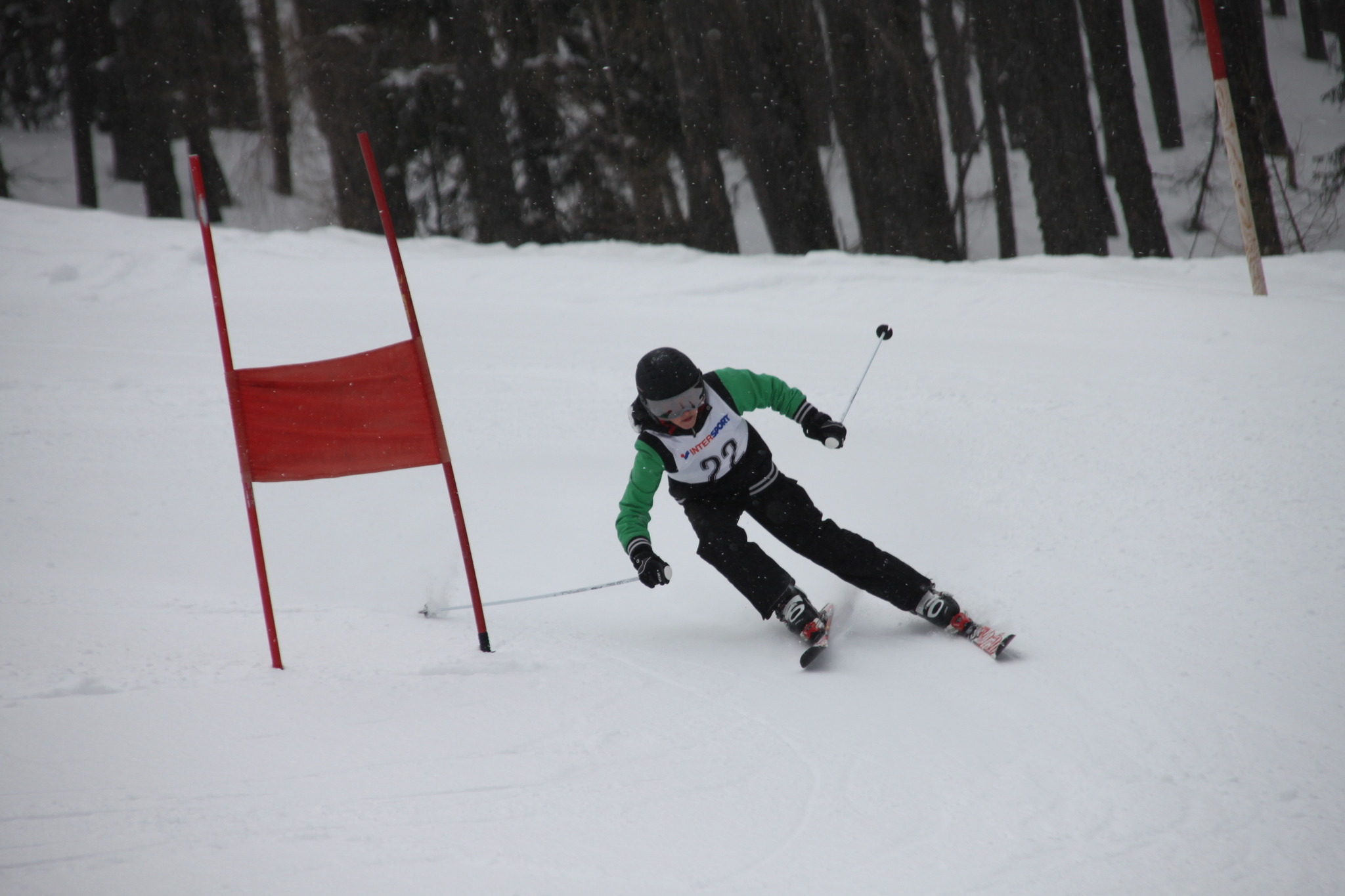 Schimeisterschaften der SMS Schubertviertel auf der Höss - Enns