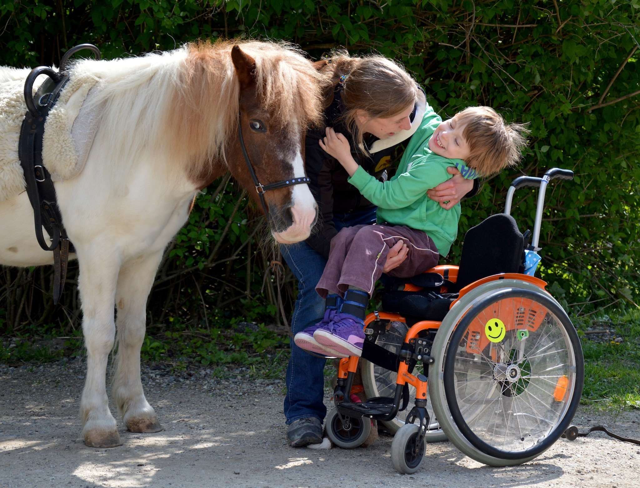 Die feinfühligen Therapeuten: Pferde im Otto-Wagner-Spital - Penzing