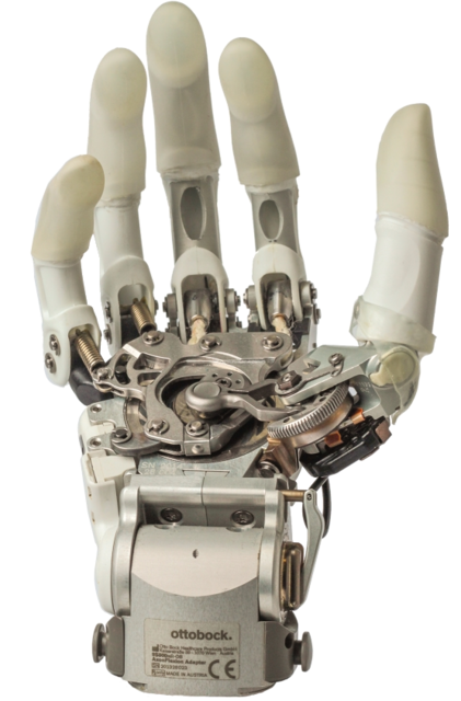 Mit der „Michelangelo-Prothese“ zu Olympia-Silber - Rohrbach