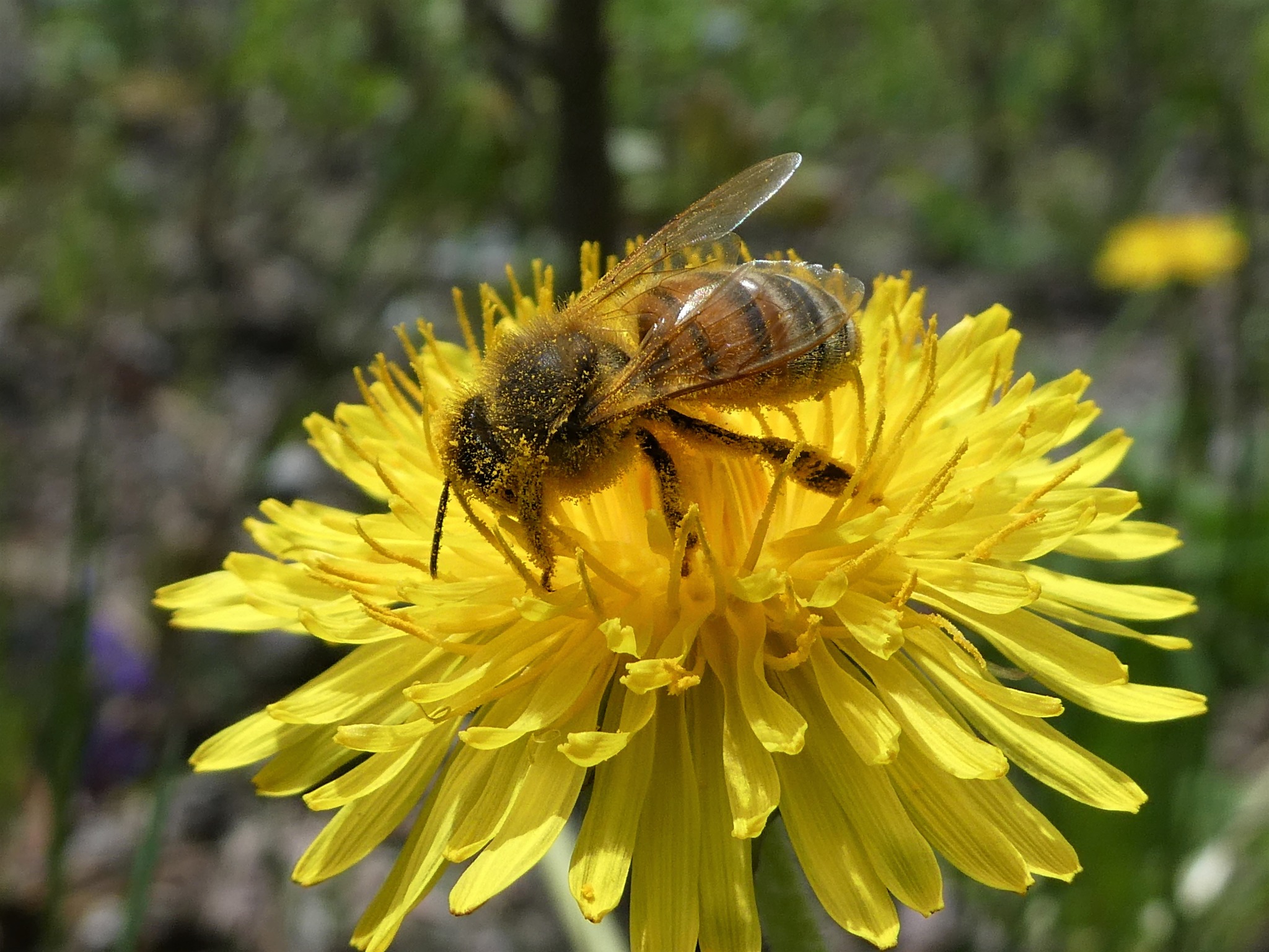 Ganz schön staubig - Innsbruck