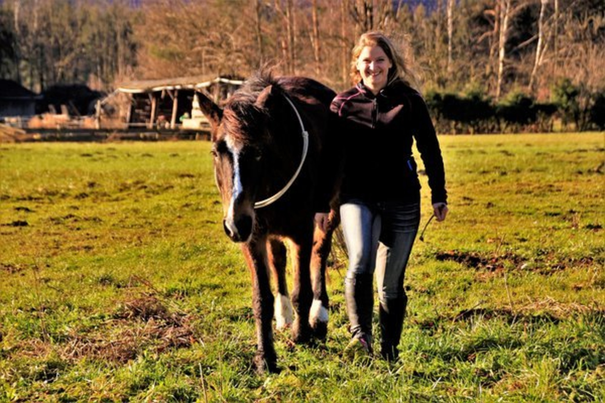 Kommunikation zwischen Mensch und Pferd - Flachgau