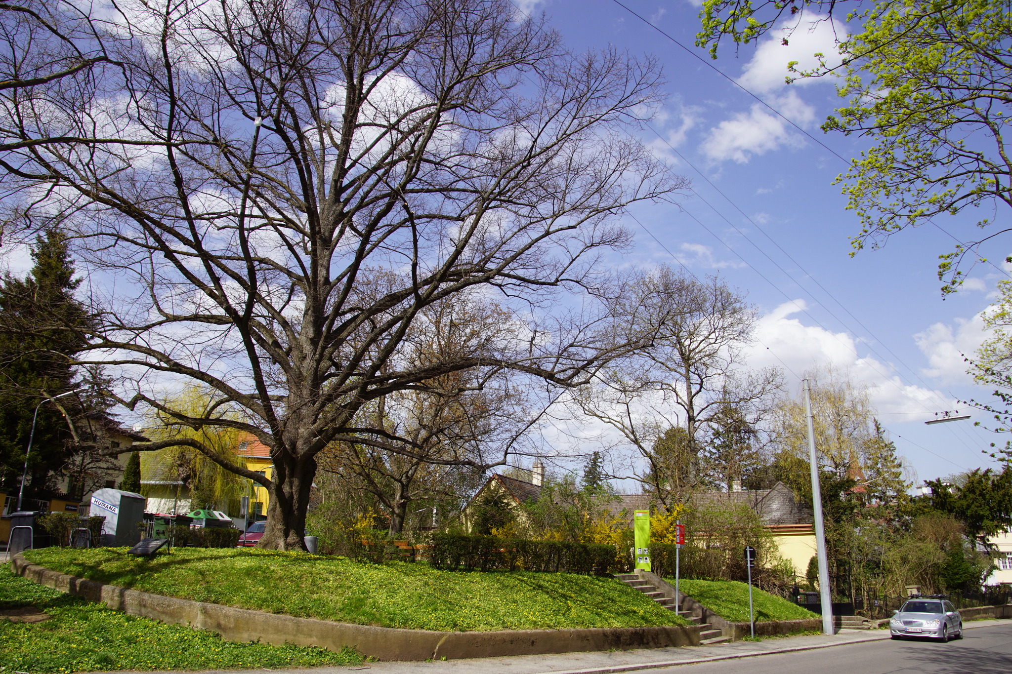 Schubertpark - Liesing