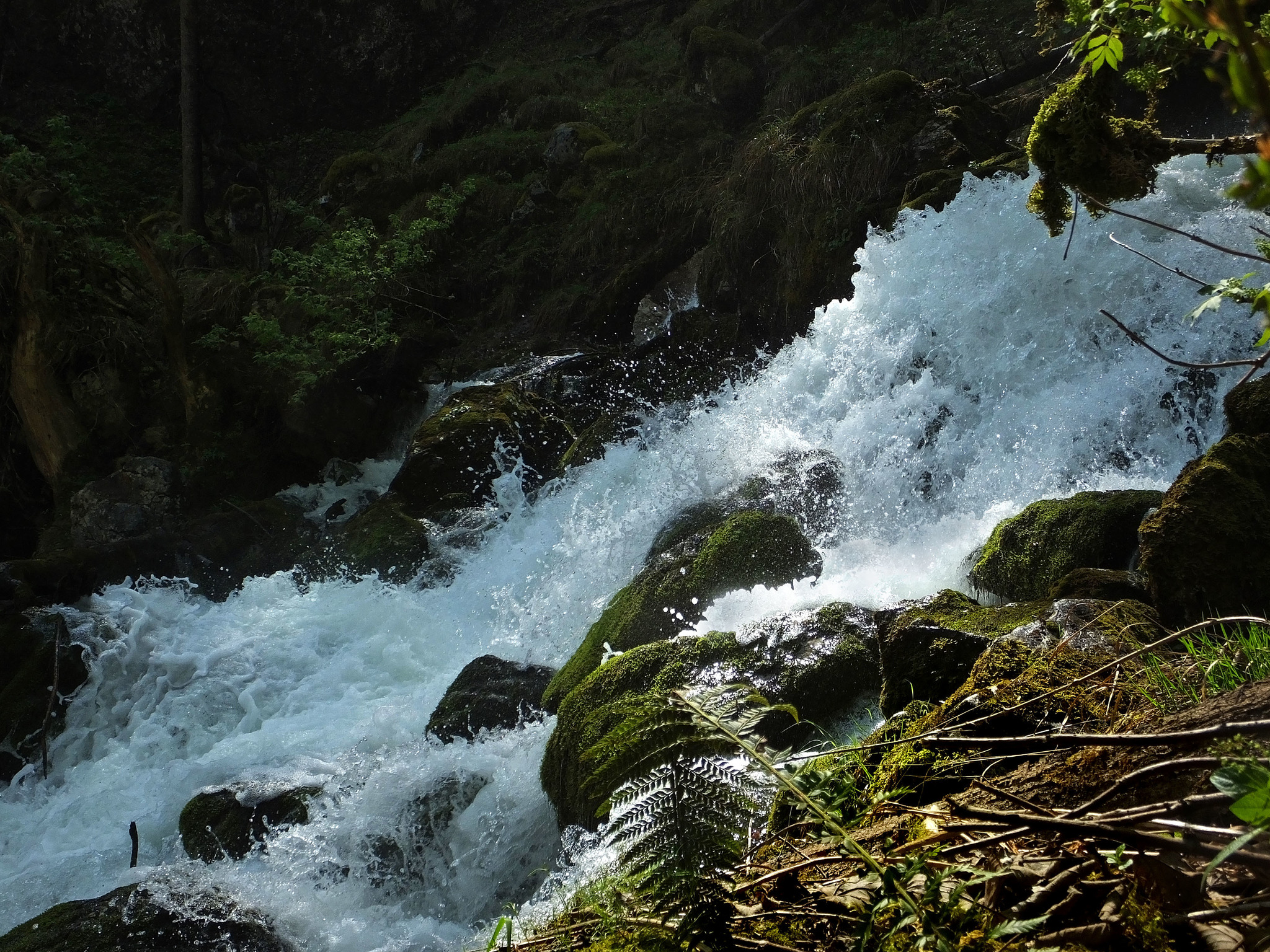 Wildwasser - Tennengau