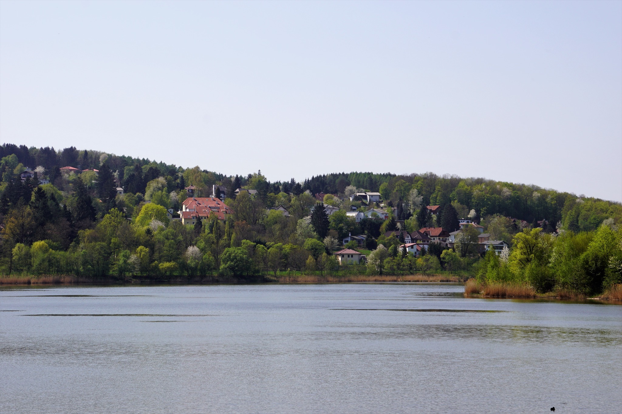 Wienerwald See - Liesing