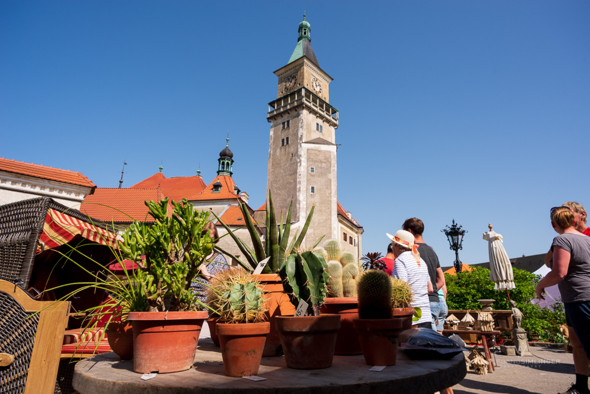 Gartenlust im Schloss Wallsee - Amstetten