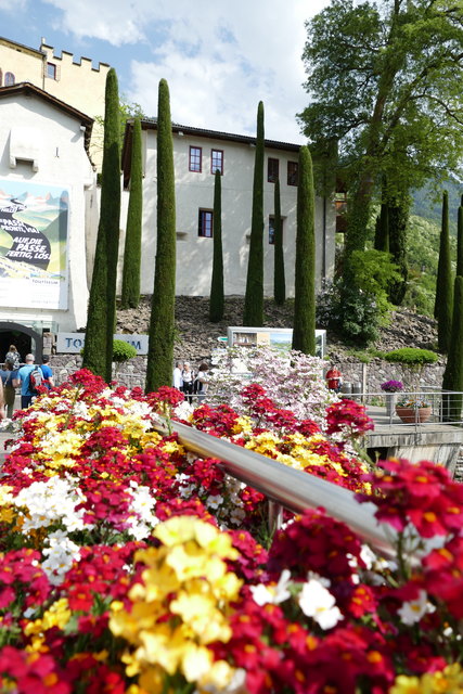 Flower Festival in Meran - Flachgau