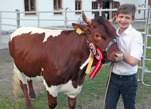 Pinzgauer Rind Weltkongress und Ländervorführung - Kitzbühel