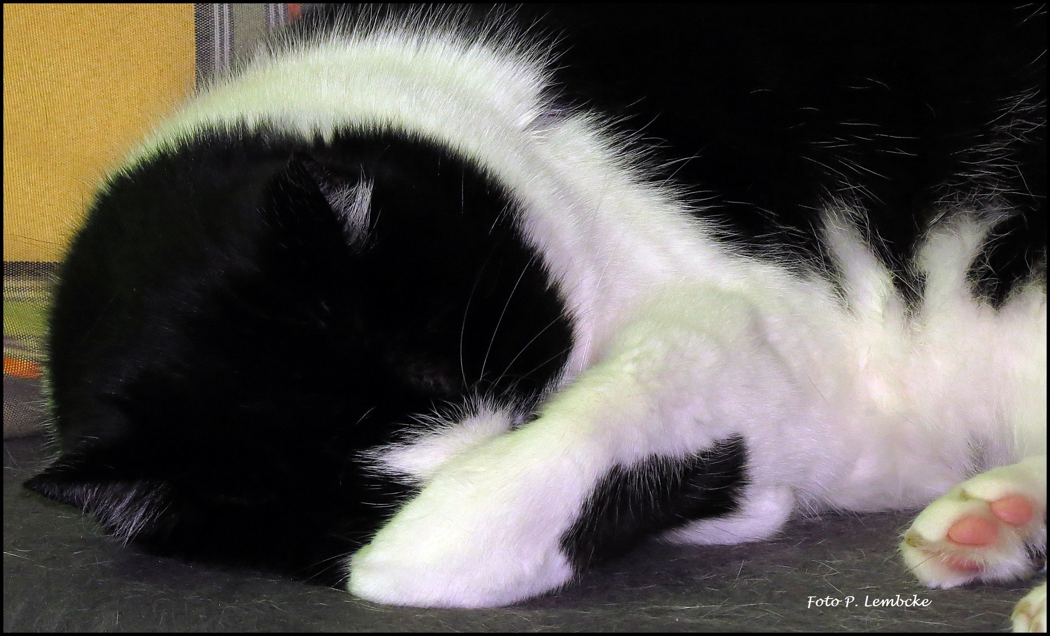 Bitte Licht abdrehen, ich will schlafen! - Ottakring