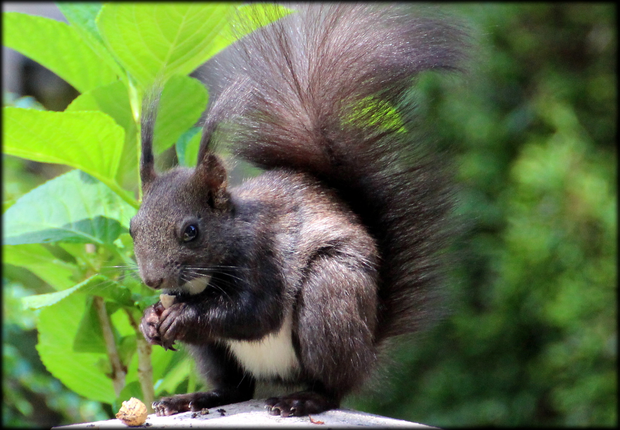 * ich geb dir nichts ab ;) * - Salzburg-Stadt