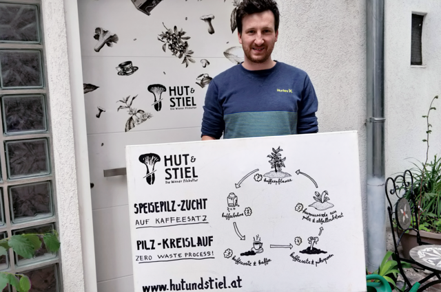 Hut und Stiel: Nachhaltige Pilze aus der Brigittenau - Brigittenau