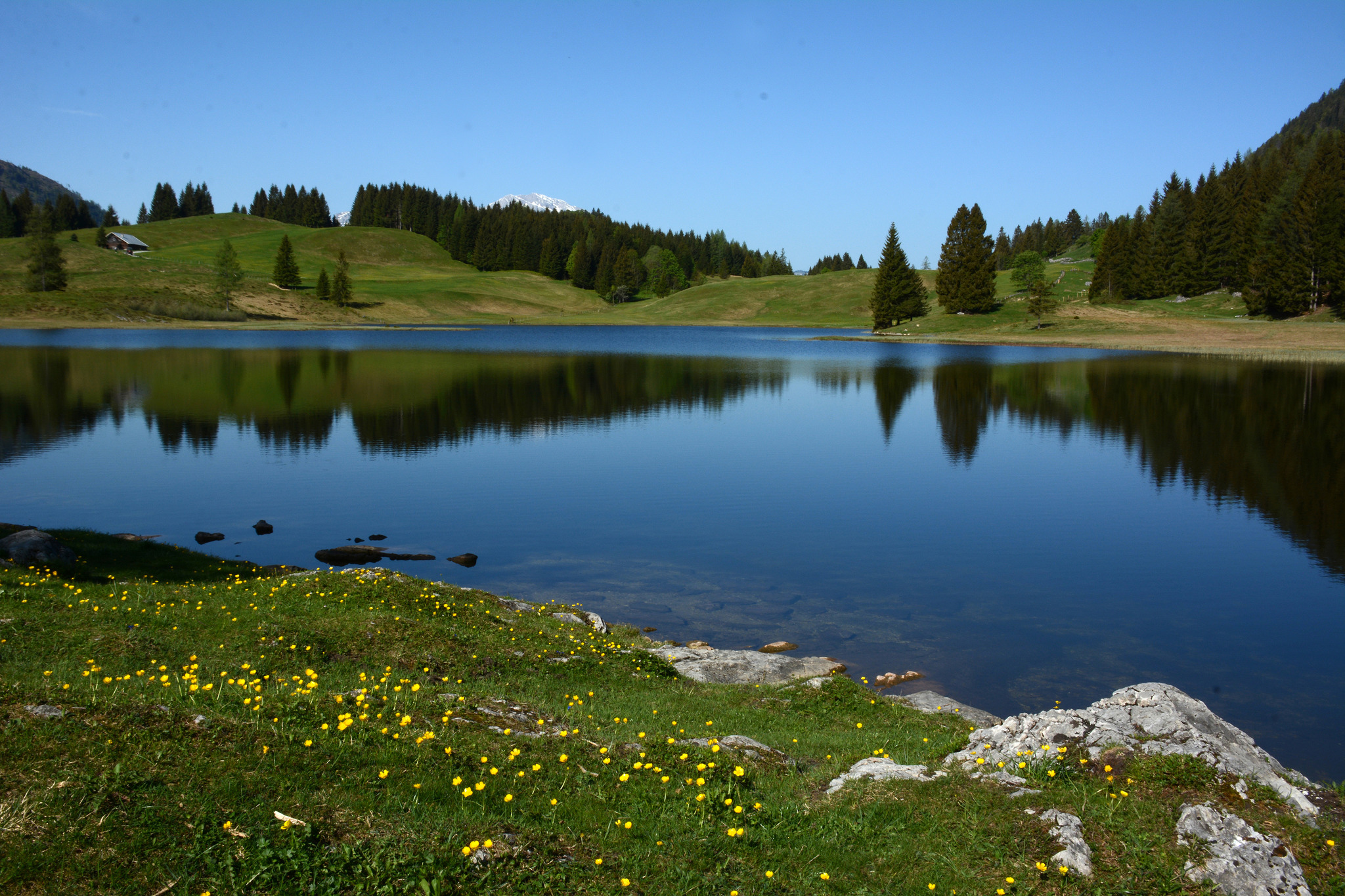 Spiegelglatter Seewaldsee - Tennengau
