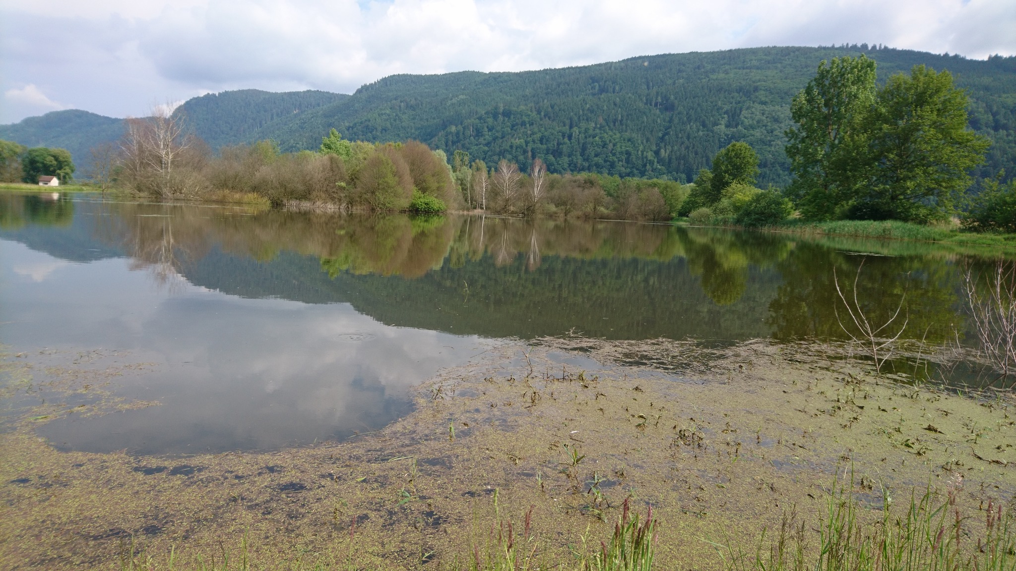 Bleistätter Moor - Feldkirchen