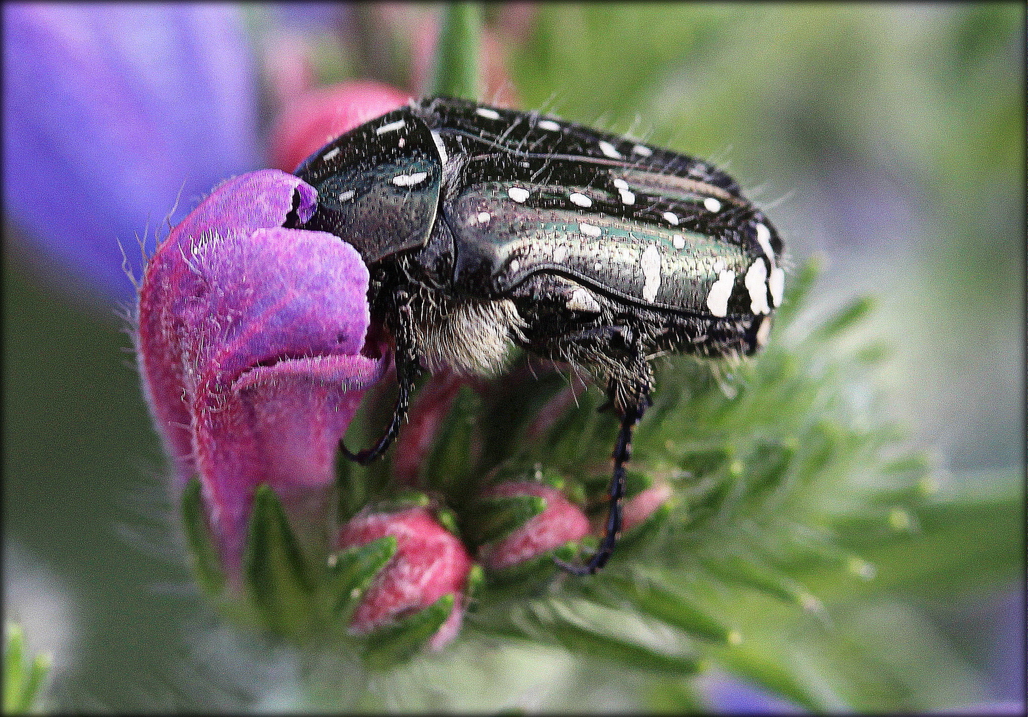 * Hilfe, ich stecke fest :) * - Salzburg-Stadt