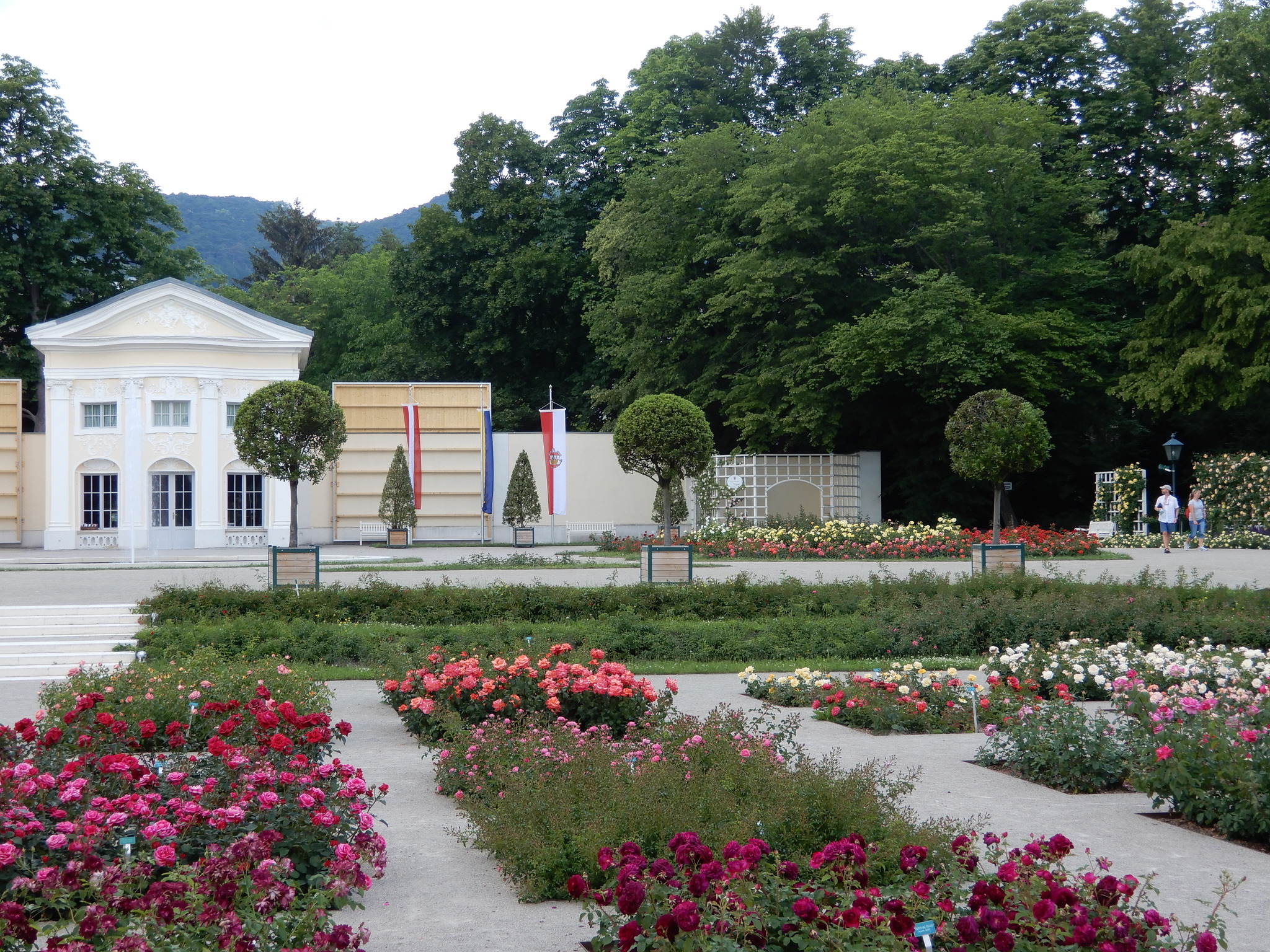 "Rosarium in Baden" - Güssing