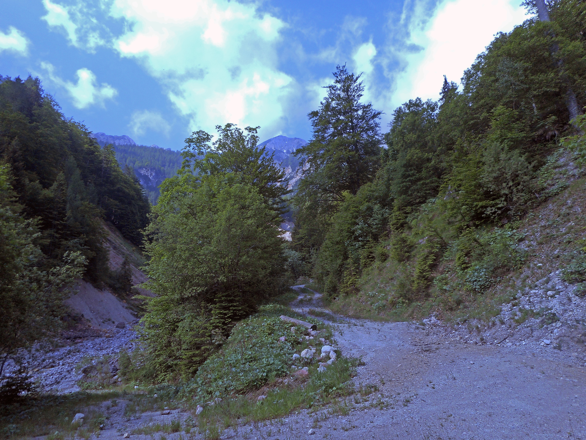 Von Rosenbach (Krawankentunnel) zur Berta Hütte - Villach Land