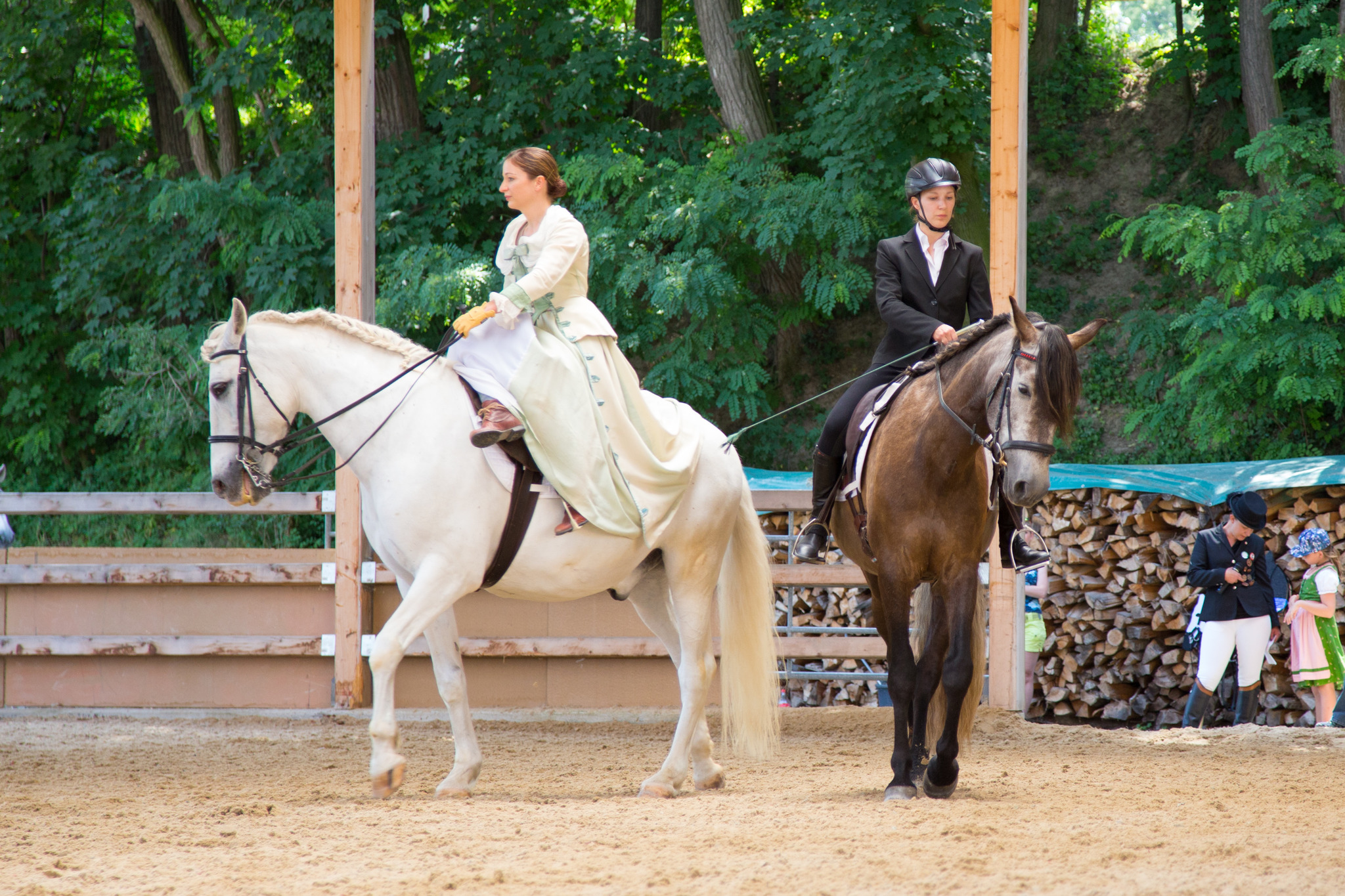 Tag der offenen Reitstalltüre im UPSV Hobby Pferd Moosbierbaum - Tulln