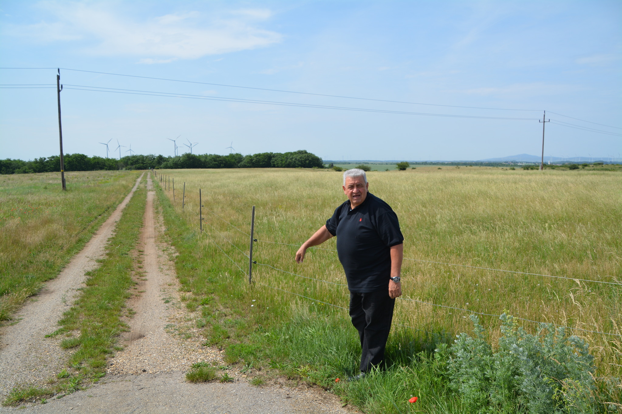 Einfach näher dran mit Rudolf Suchy in Zurndorf - Neusiedl am See