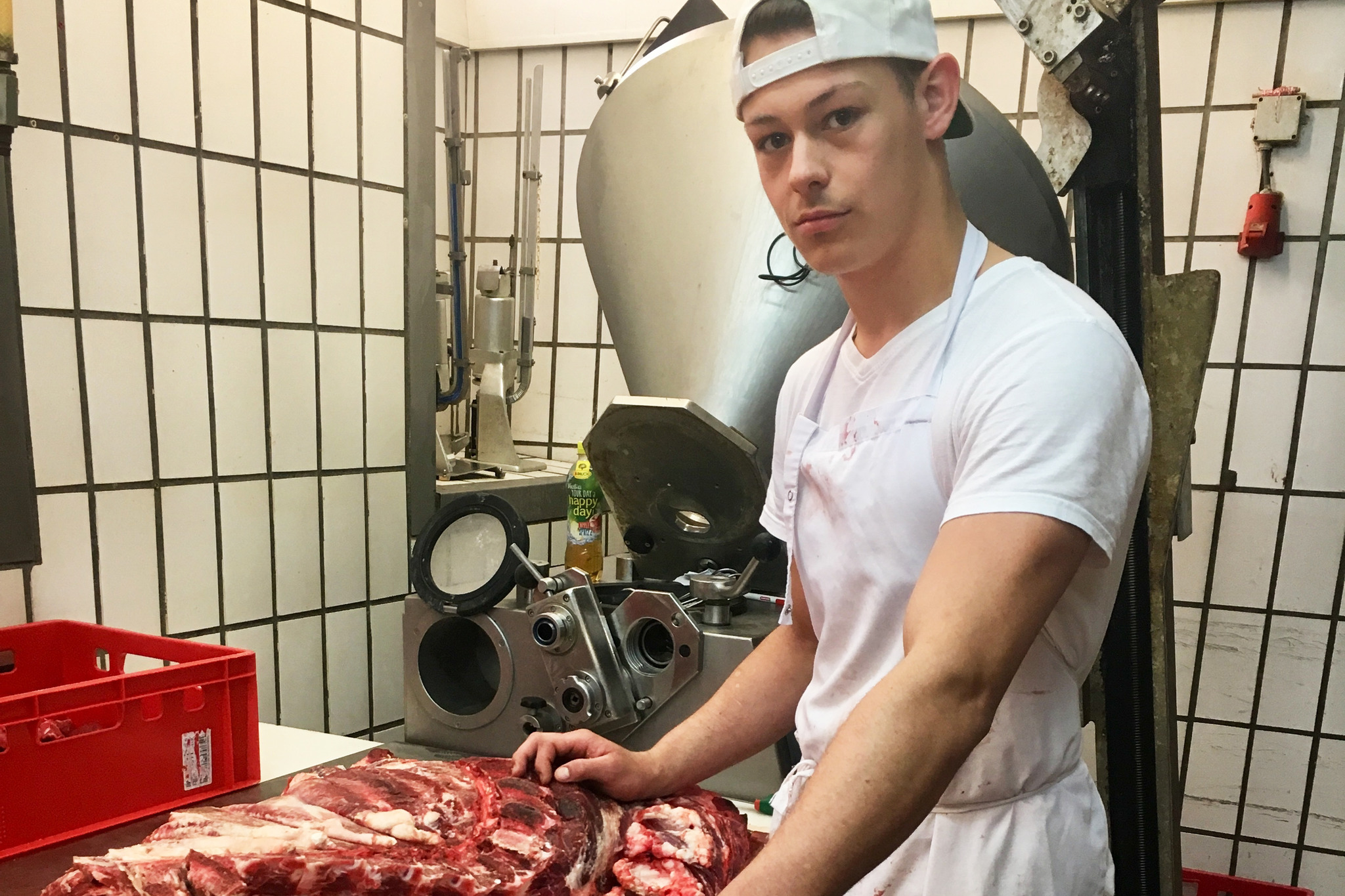 Tipps für die Lehre: Wie man Fleischhauer wird - Wien