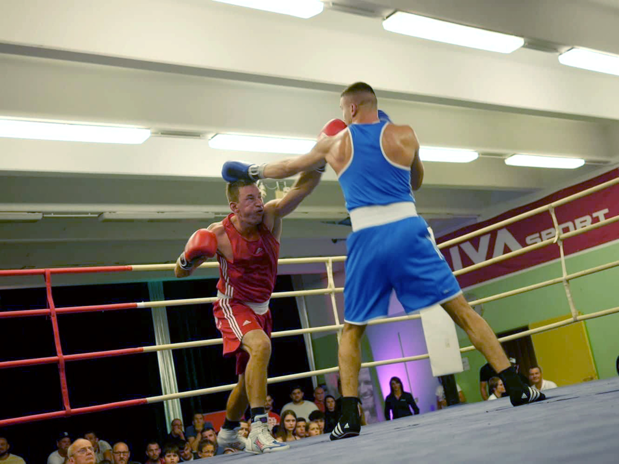 Tolle Stimmung beim Heimspiel der Linzer Boxer - Linz