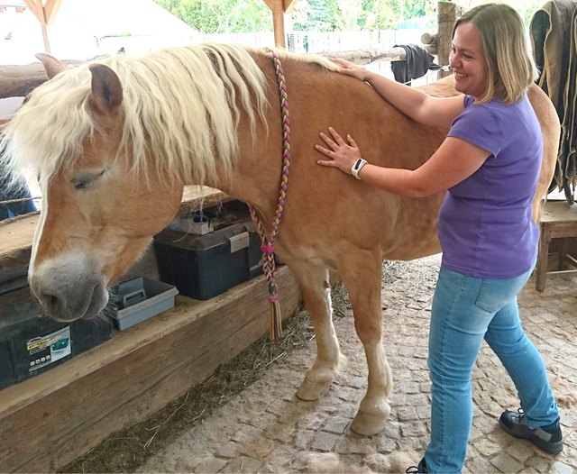 Über einige Steine ans Ziel - Oberpullendorf