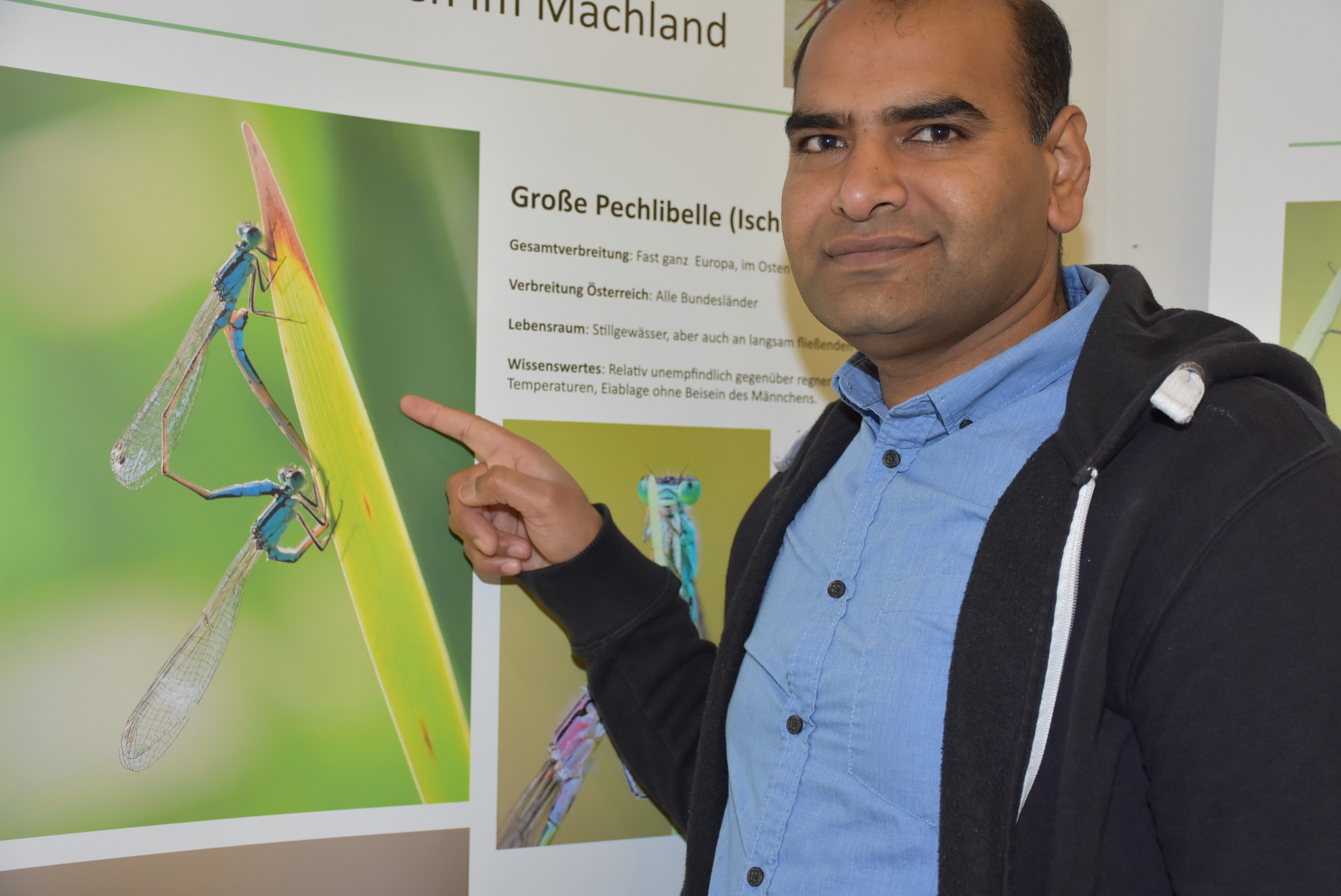Bilal Usman besucht großartige Libellen-Ausstellung des Machlandes - Perg